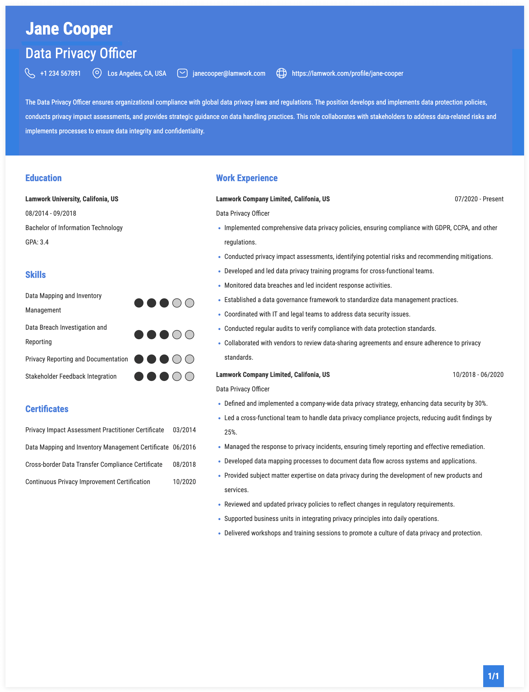 Data Privacy Officer Resume Example