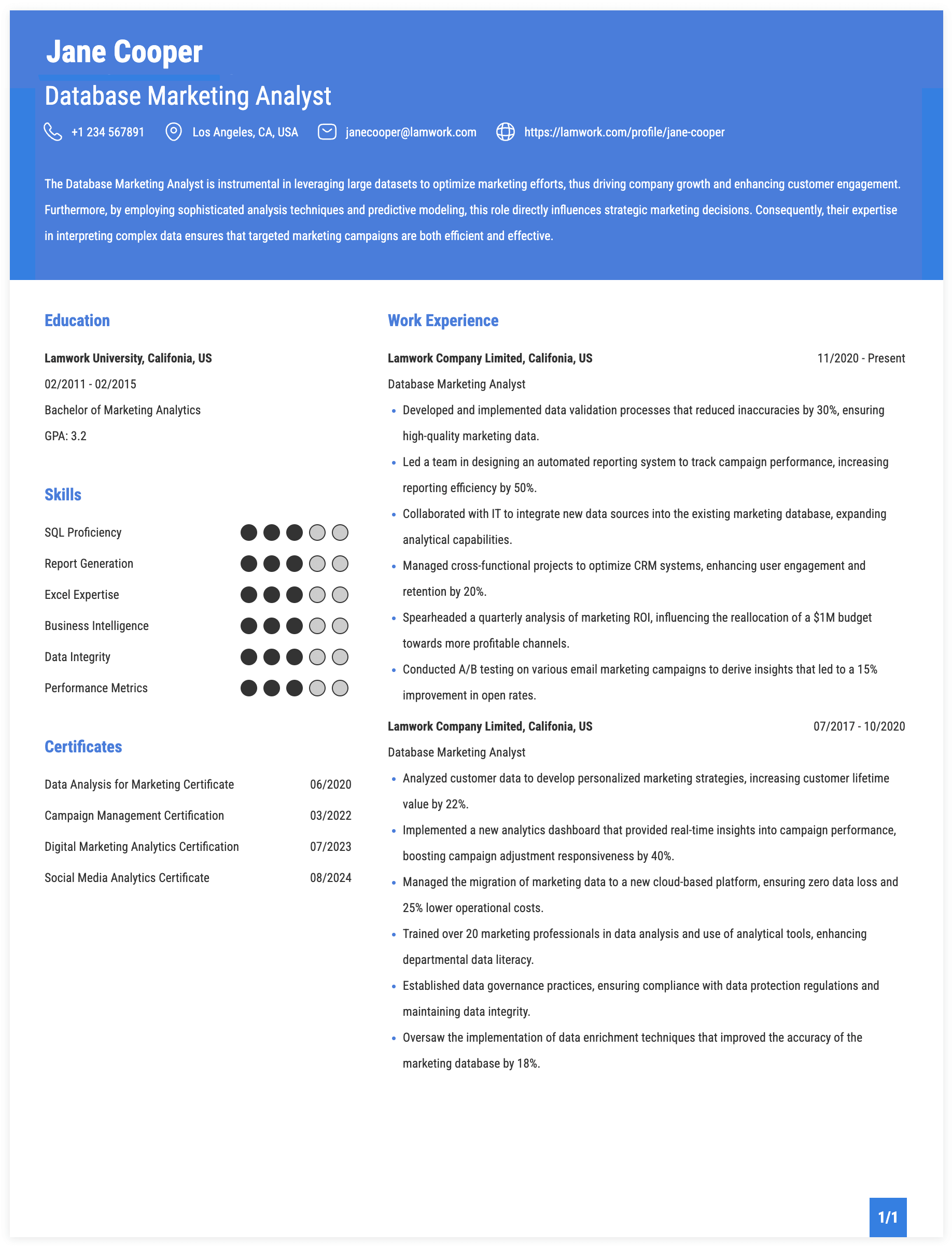 Database Marketing Analyst Resume Example