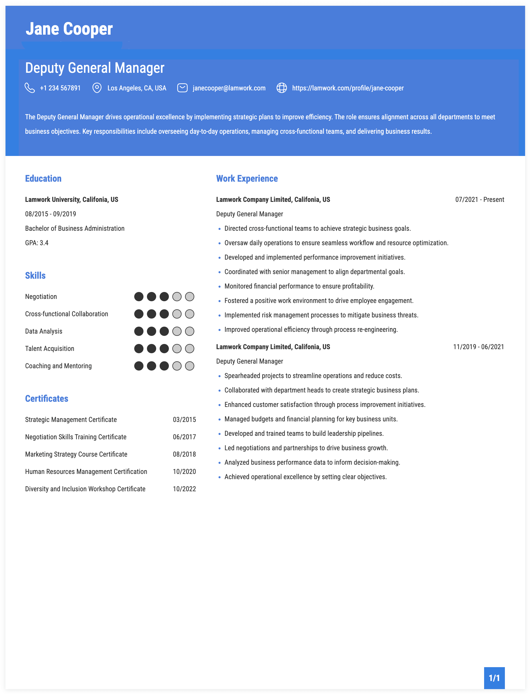 Deputy General Manager Resume Example