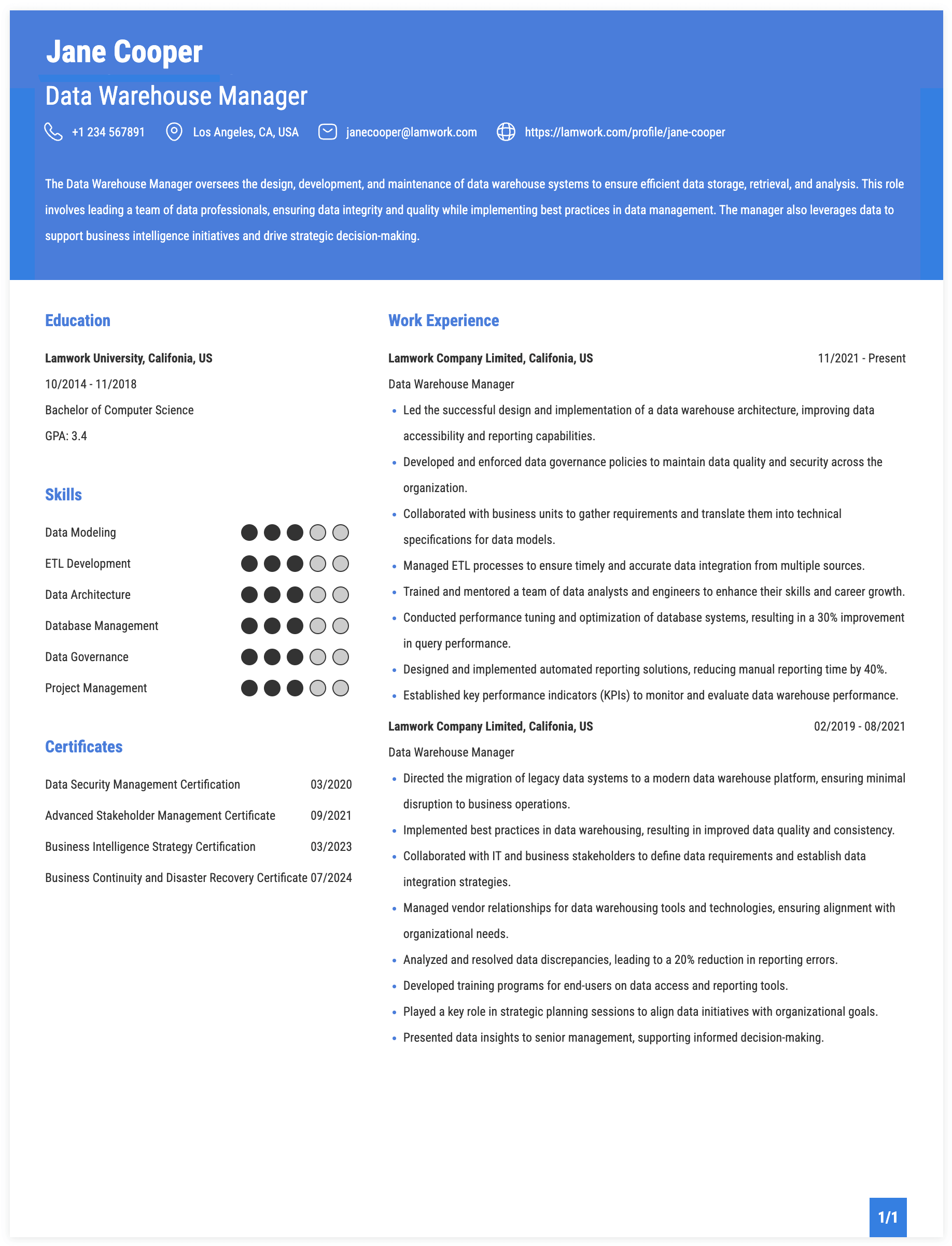 Data Warehouse Manager Resume Example