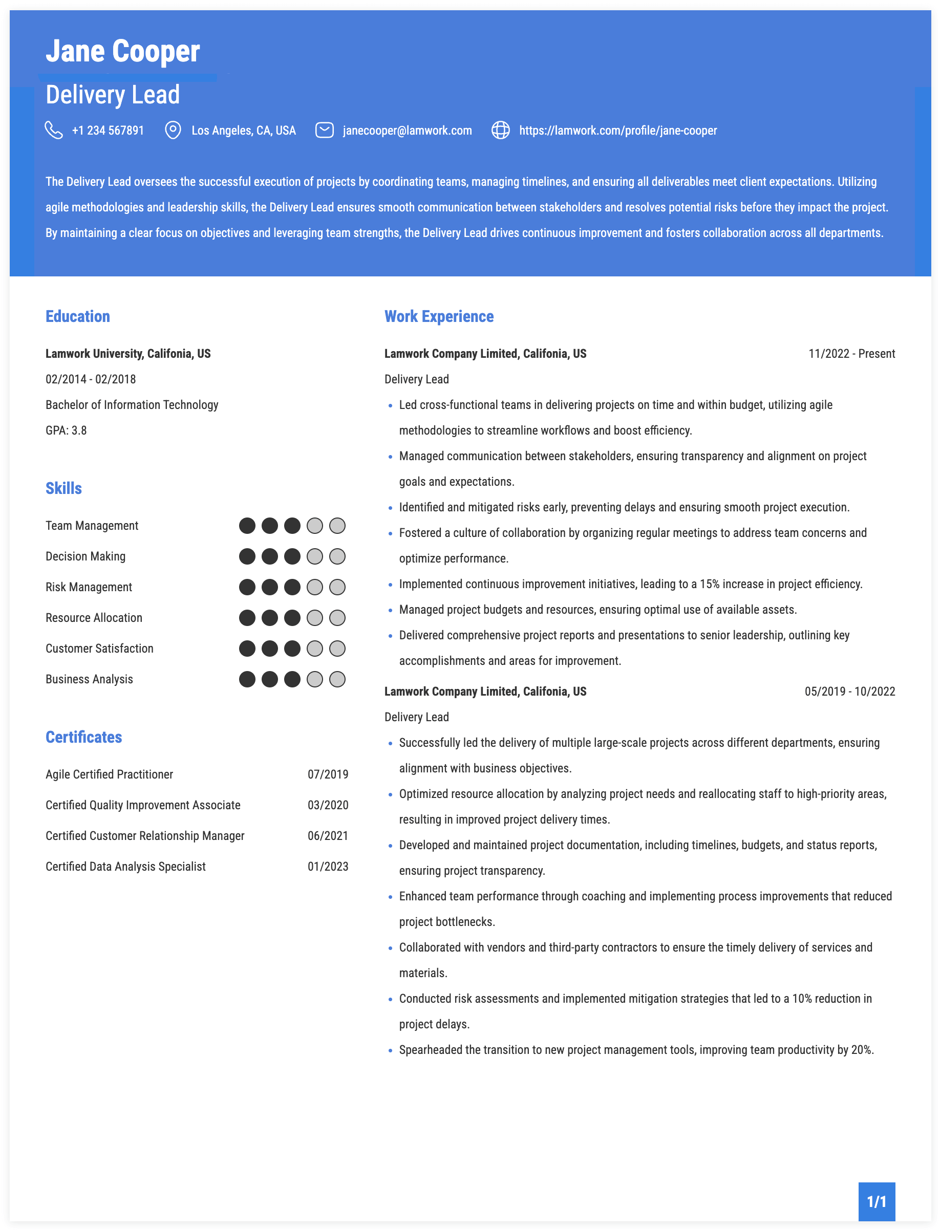 Delivery Lead Resume Example