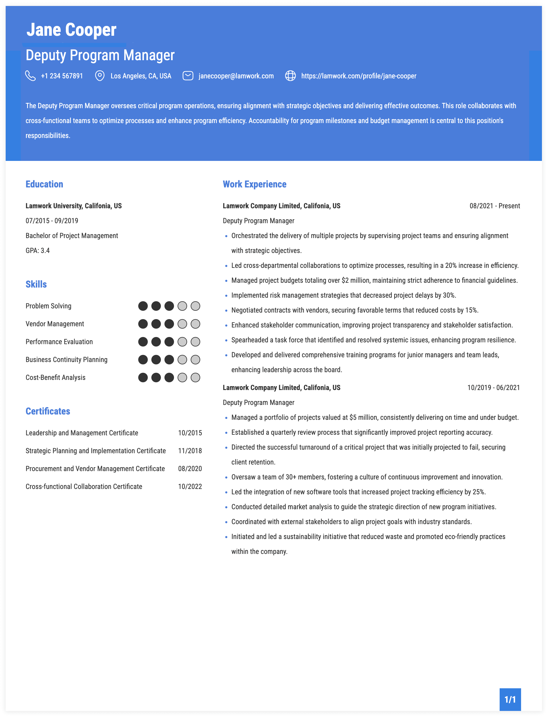Deputy Program Manager Resume Example