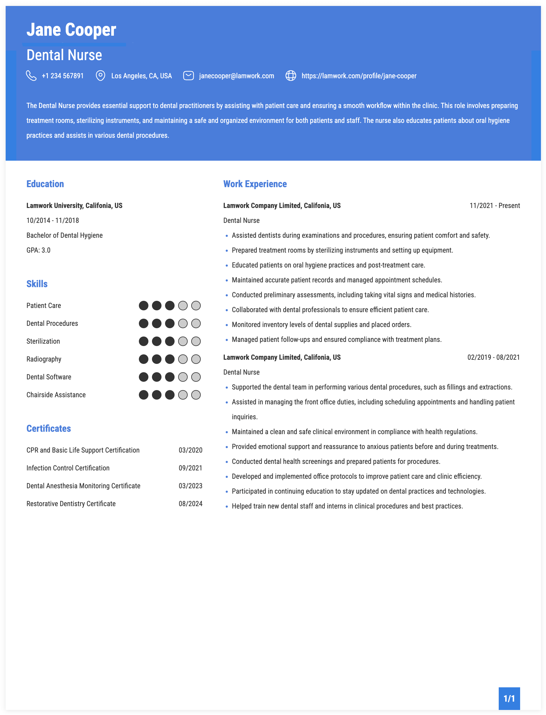 Dental Nurse Resume Example