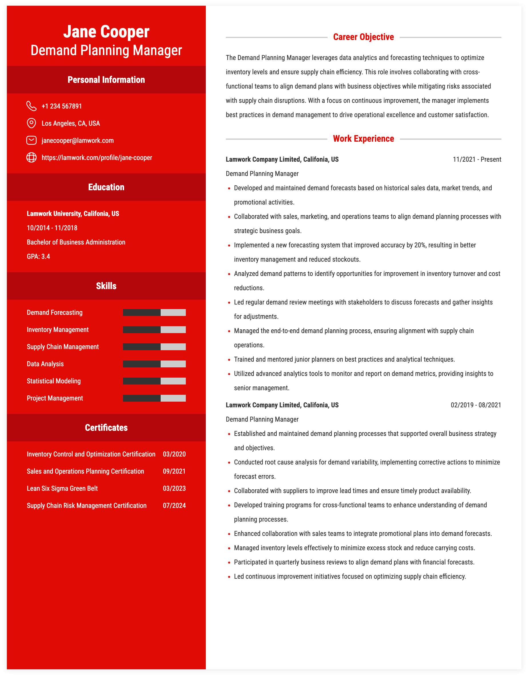 Demand Planning Manager Resume Example