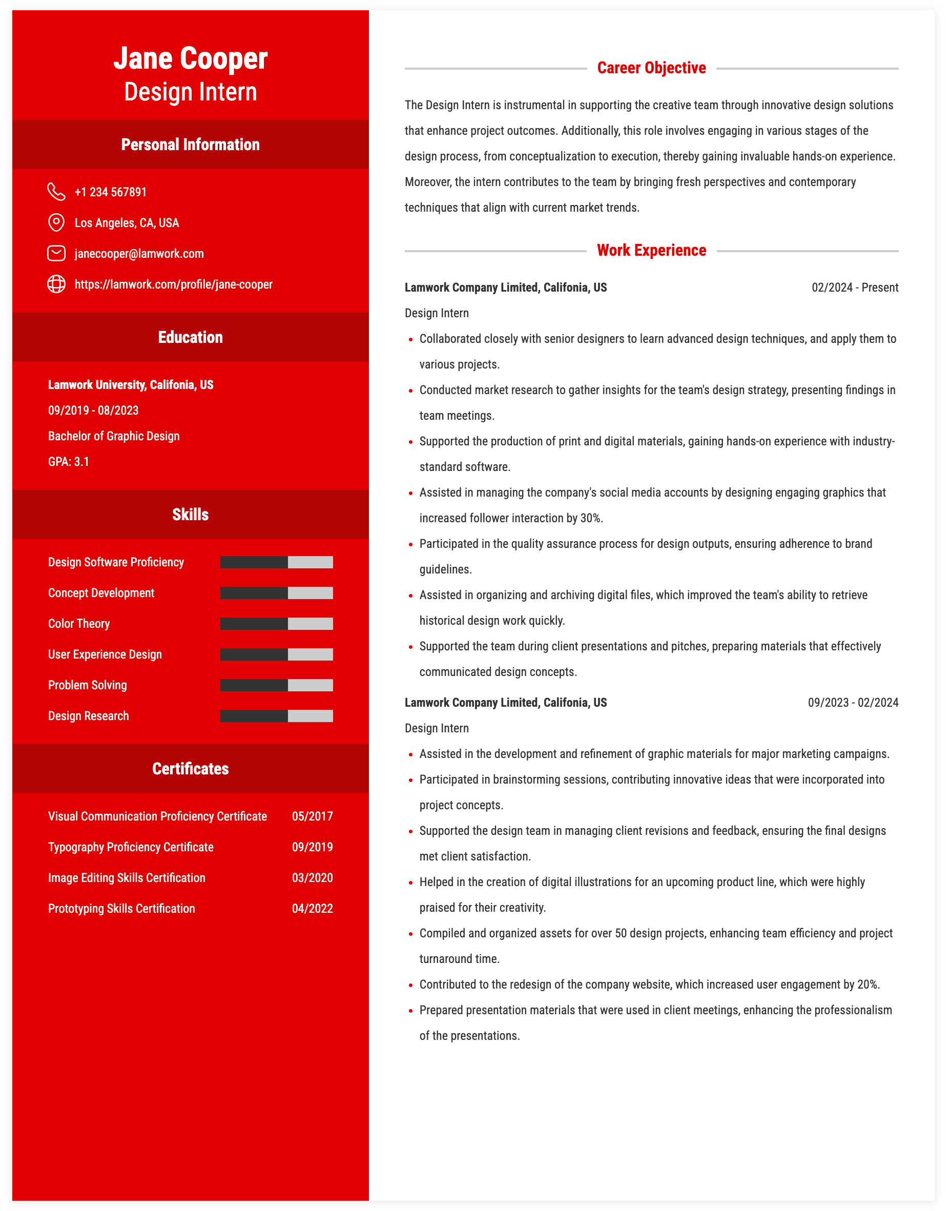 Design Intern Resume Example
