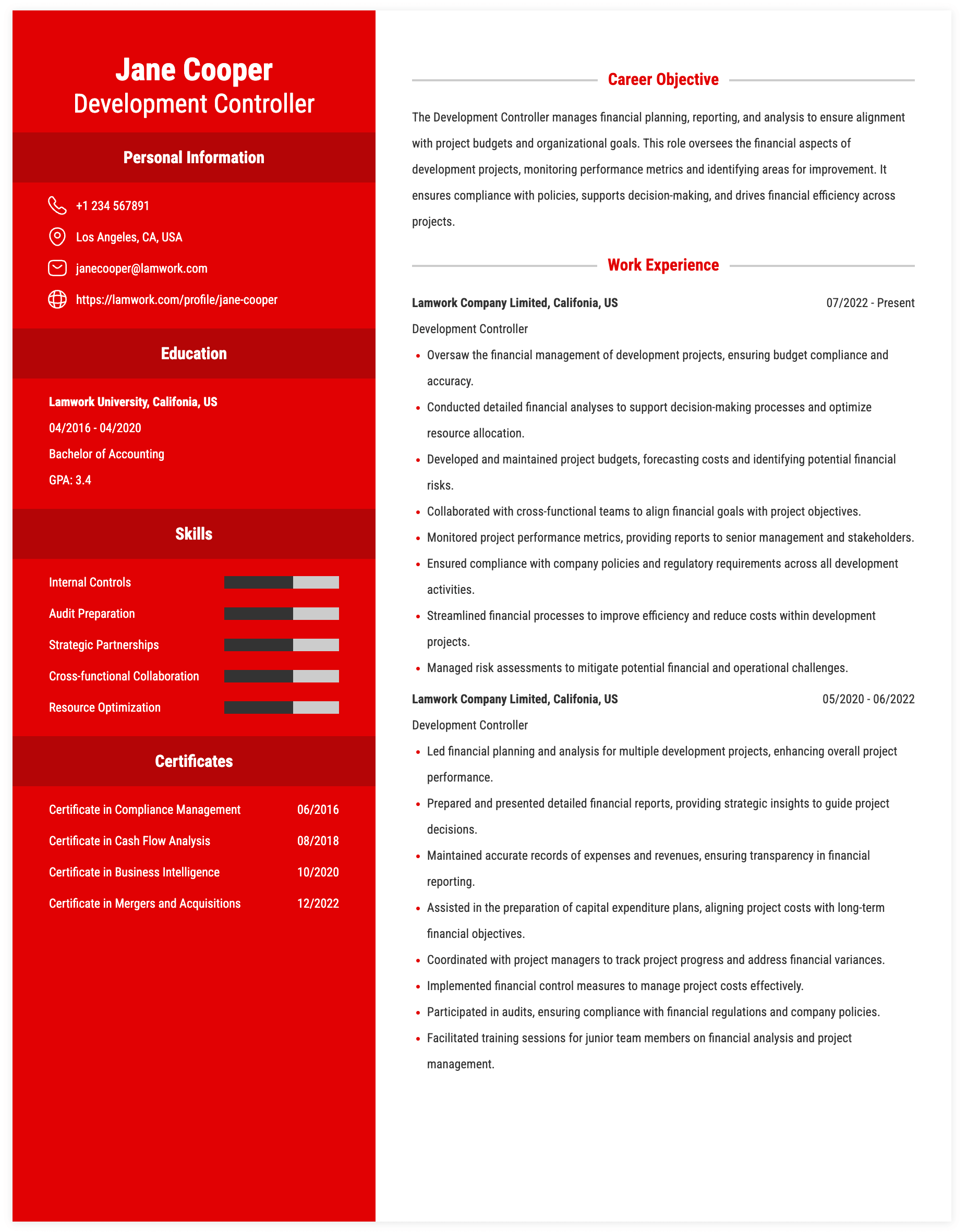 Development Controller Resume Example