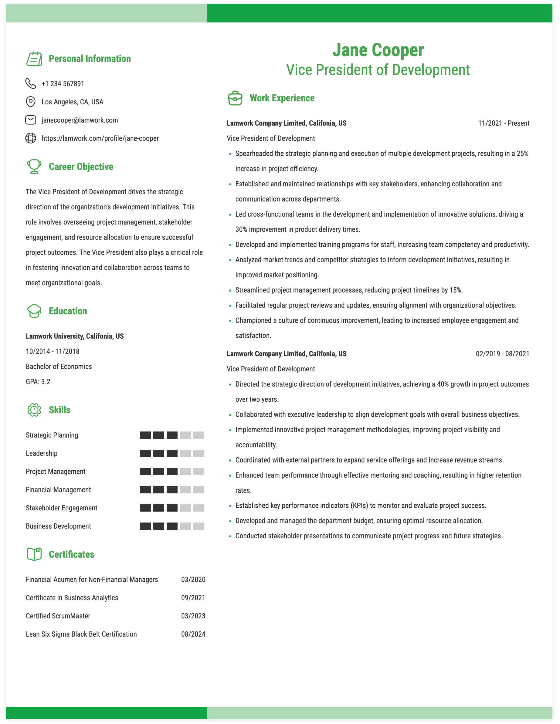 Vice President of Development Resume Example