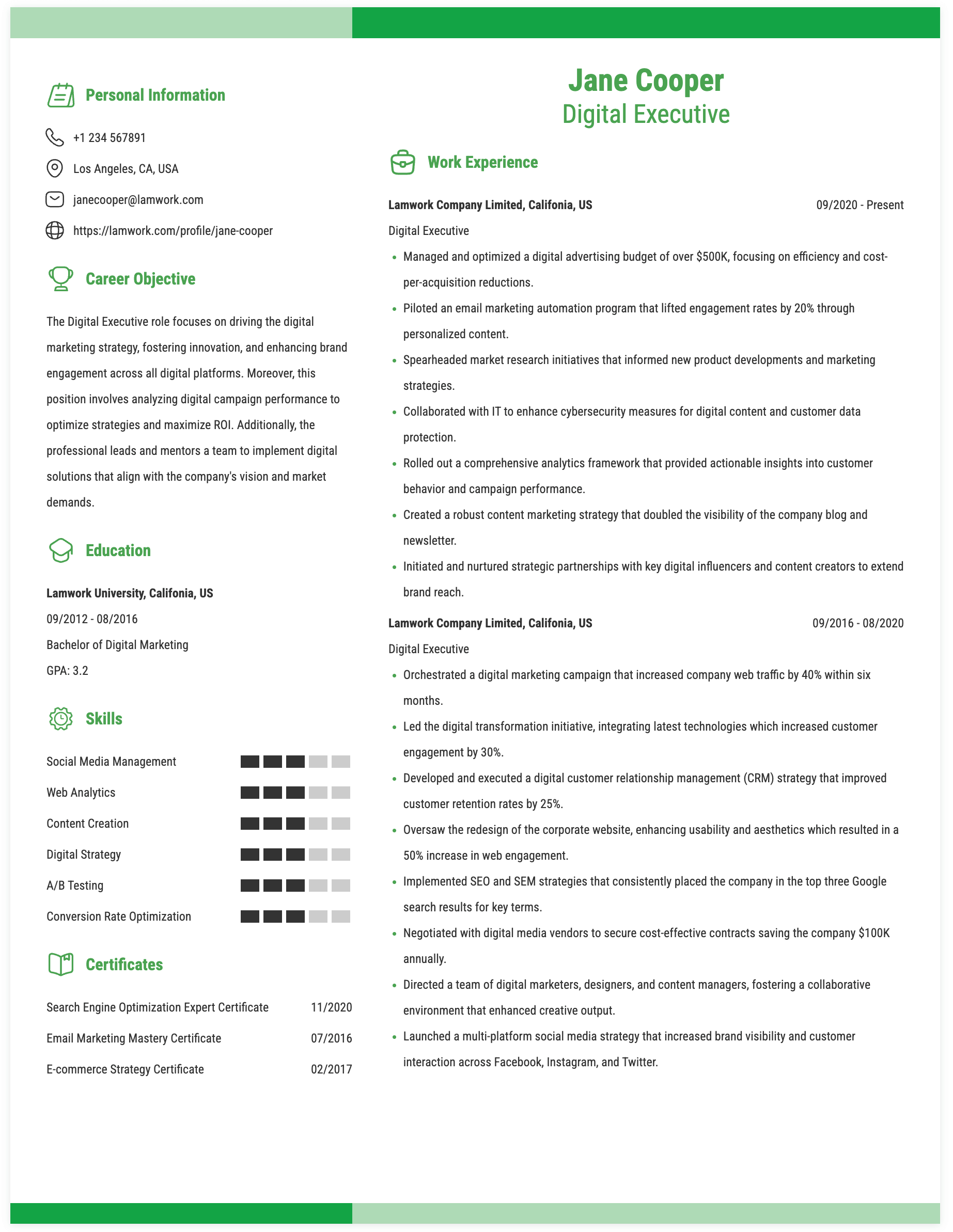 Digital Executive Resume Example