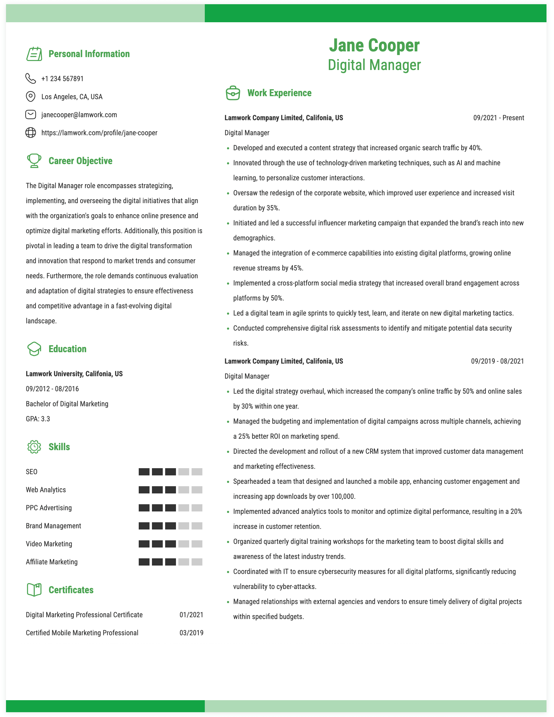 Digital Manager Resume Example