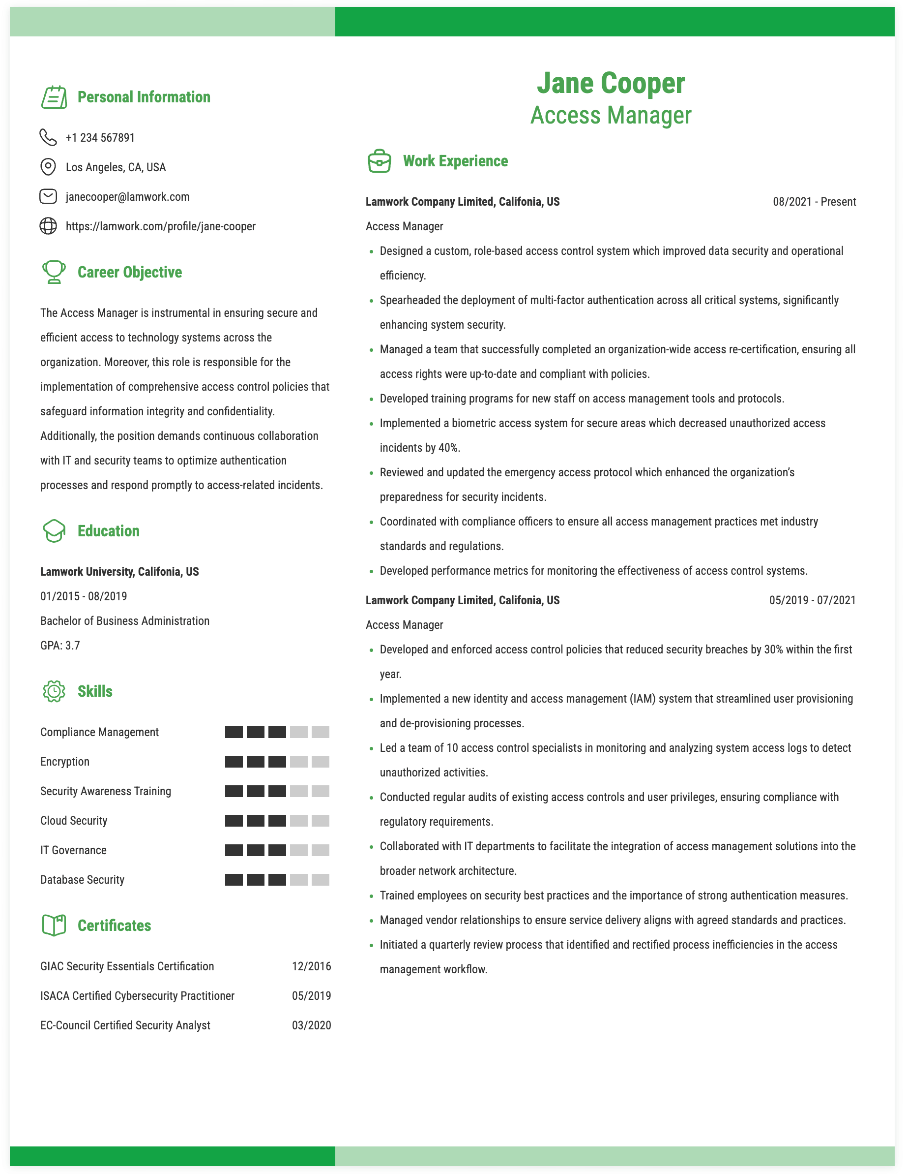 Access Manager Resume Example