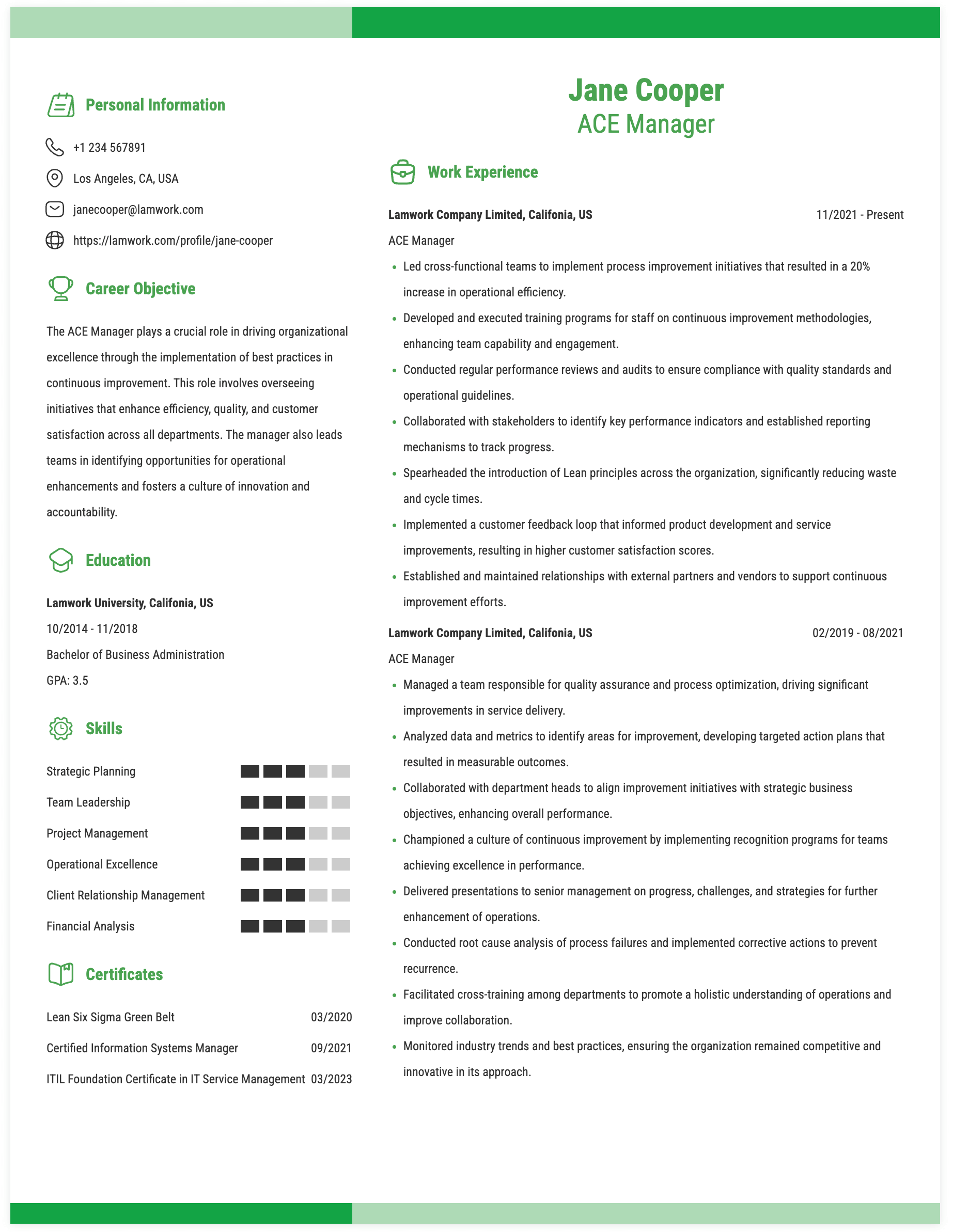 ACE Manager Resume Example