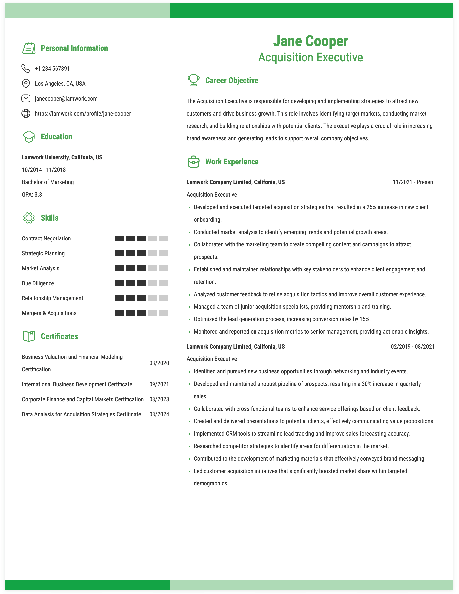 Acquisition Executive Resume Example