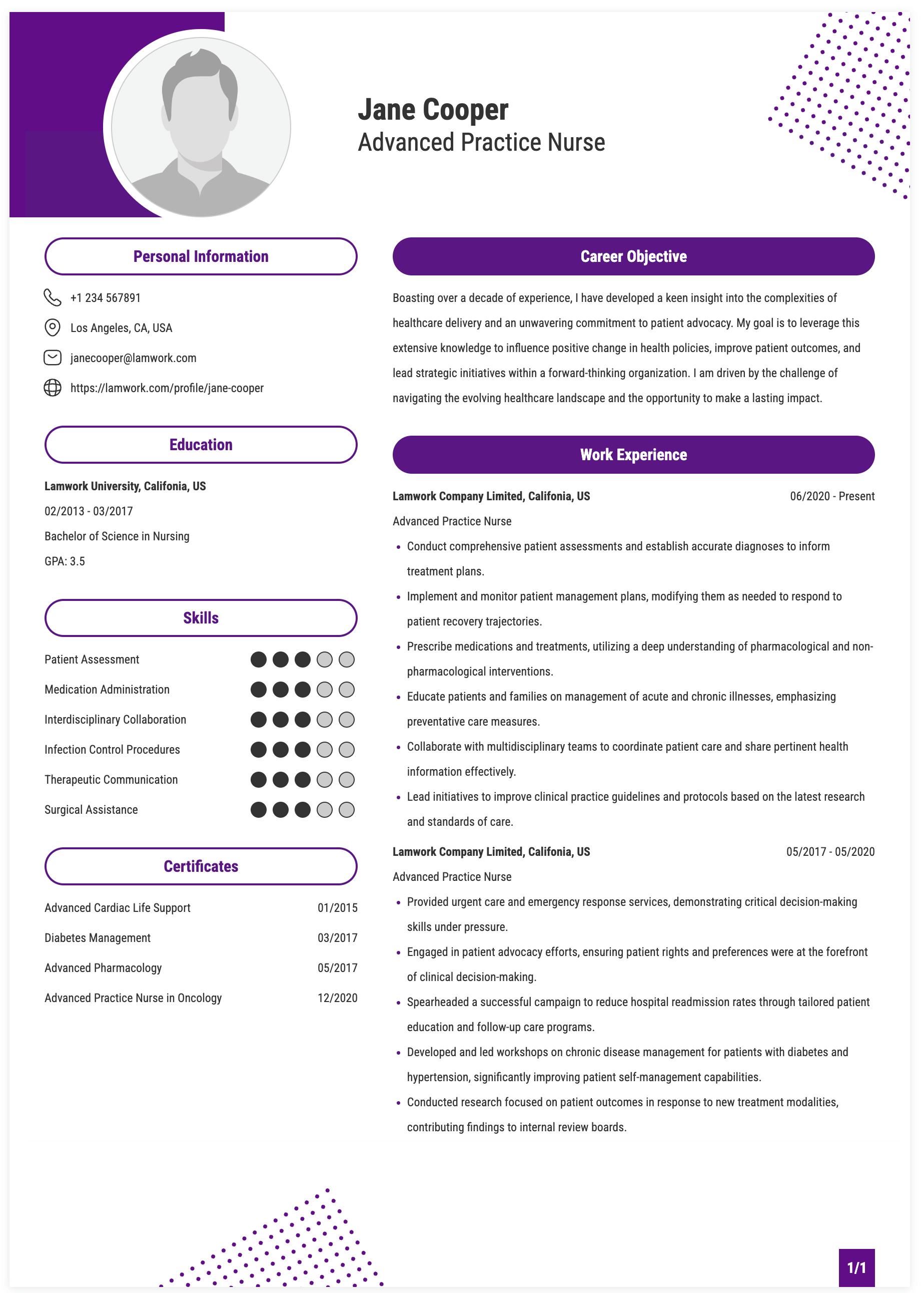 Advanced Practice Nurse Resume Example
