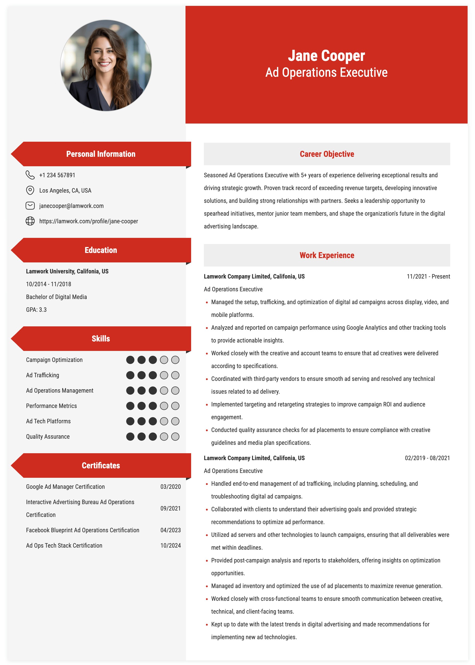 Ad Operations Executive Resume Example