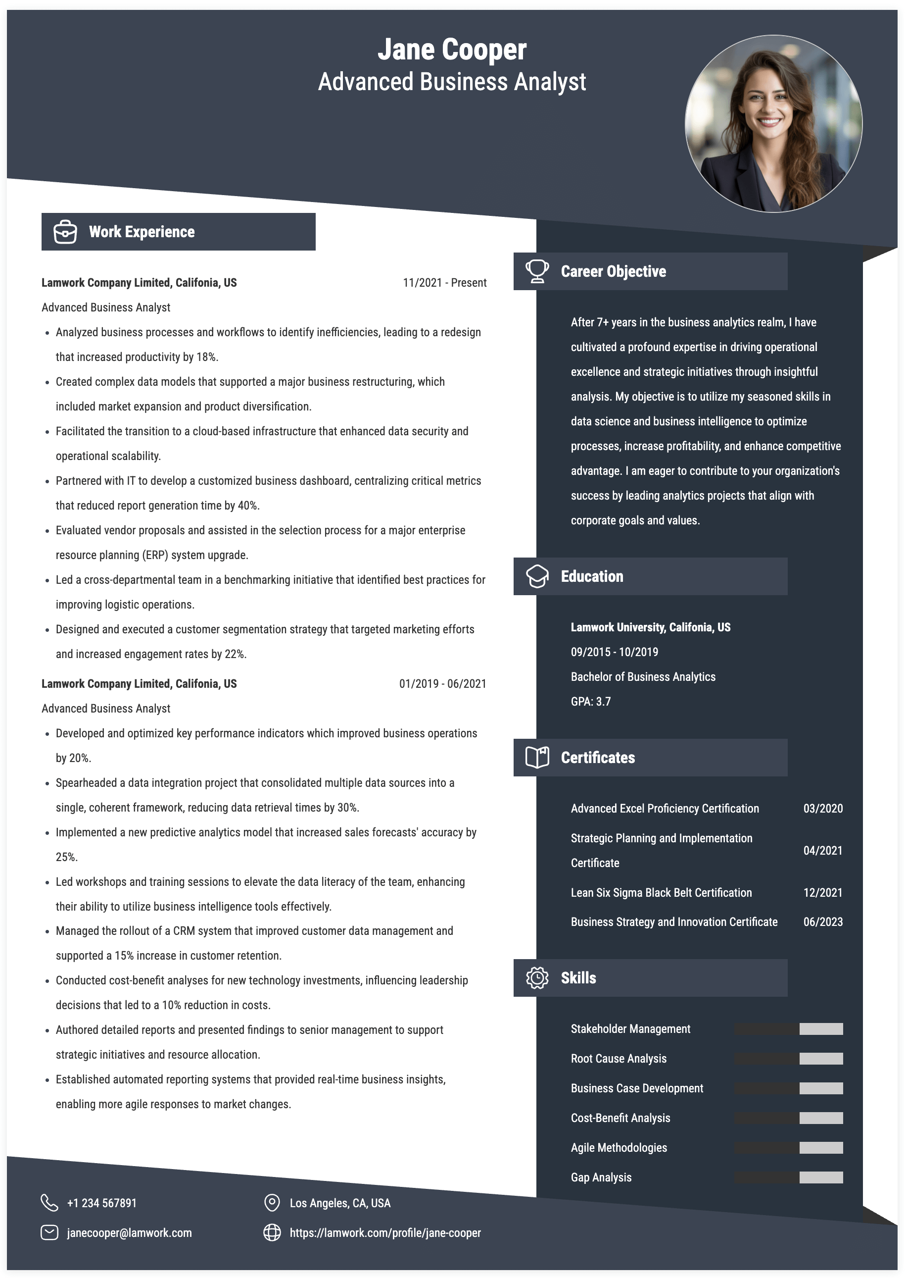 Advanced Business Analyst Resume Example