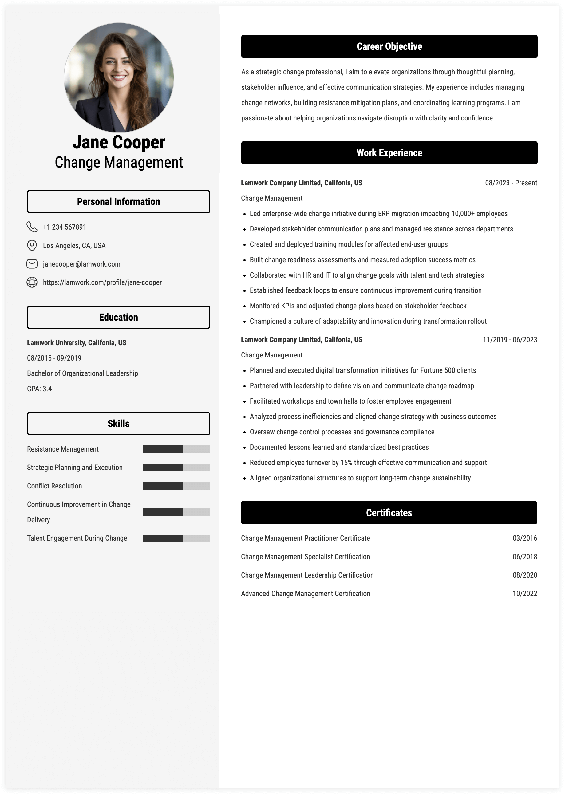 Change Management Resume Example