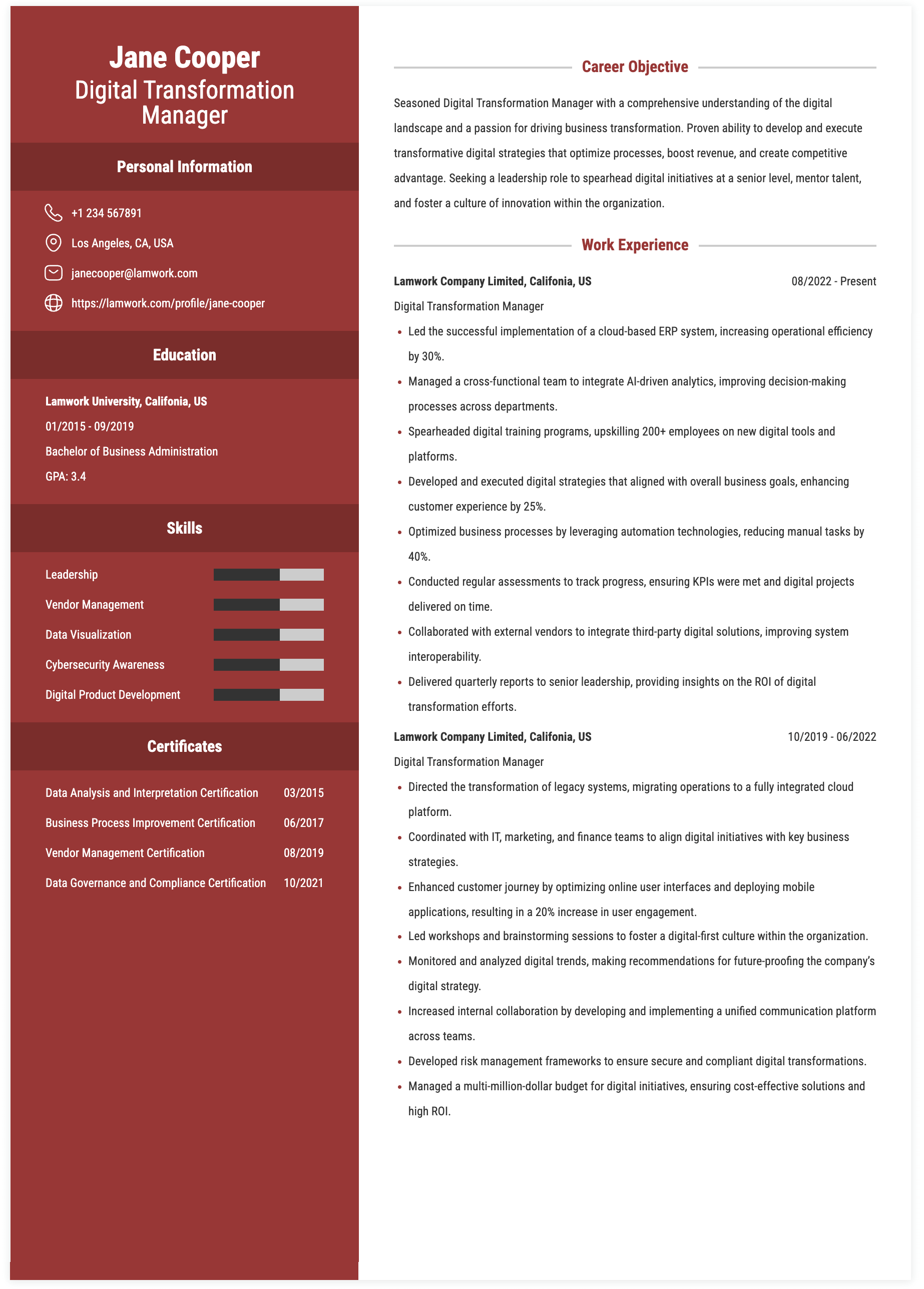 Digital Transformation Manager Resume Example