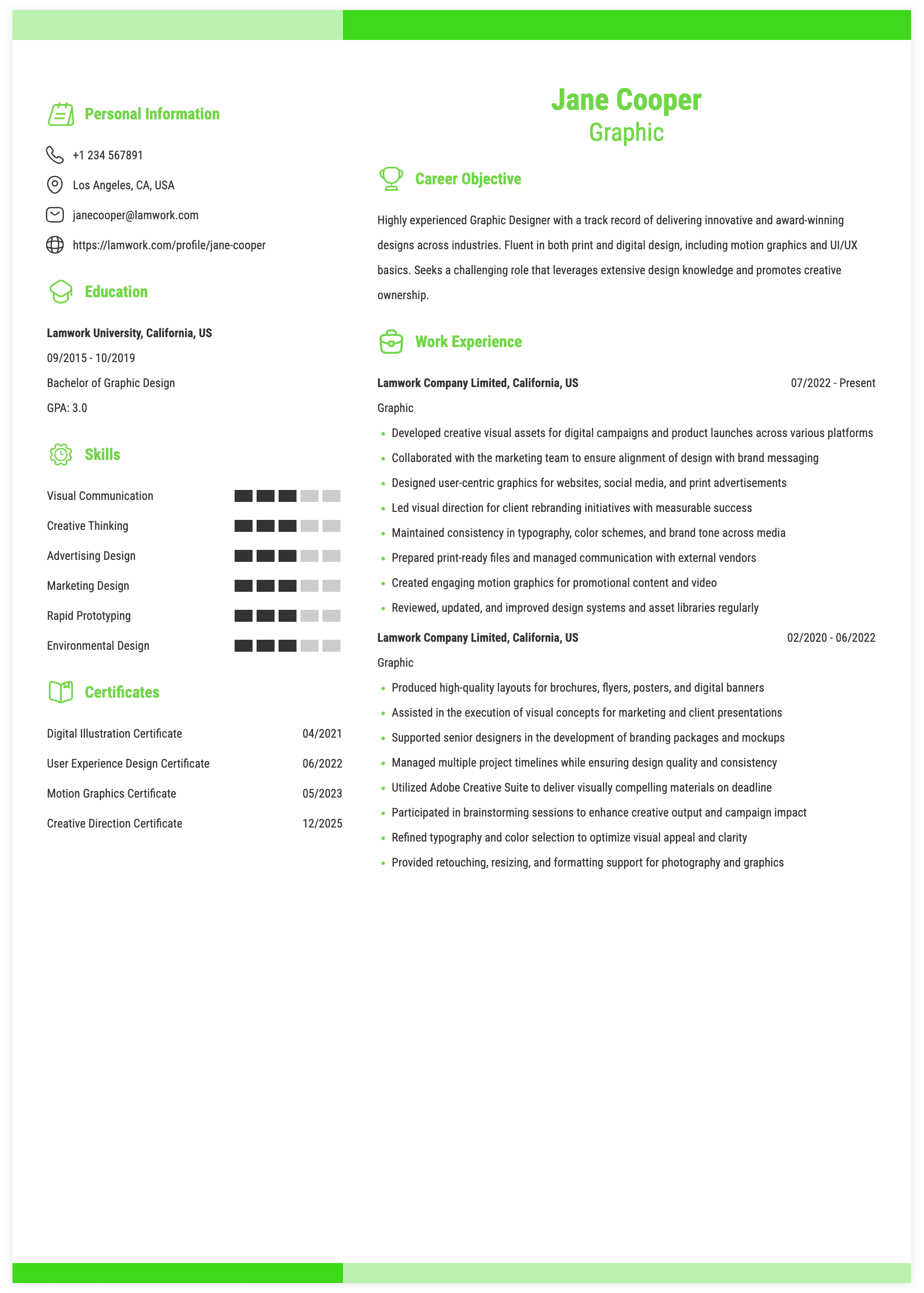Graphic Resume Example