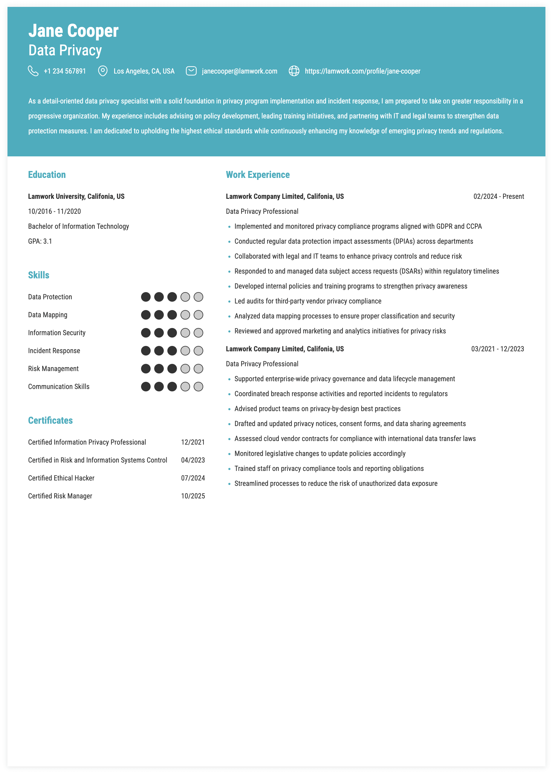 Data Privacy Resume Example