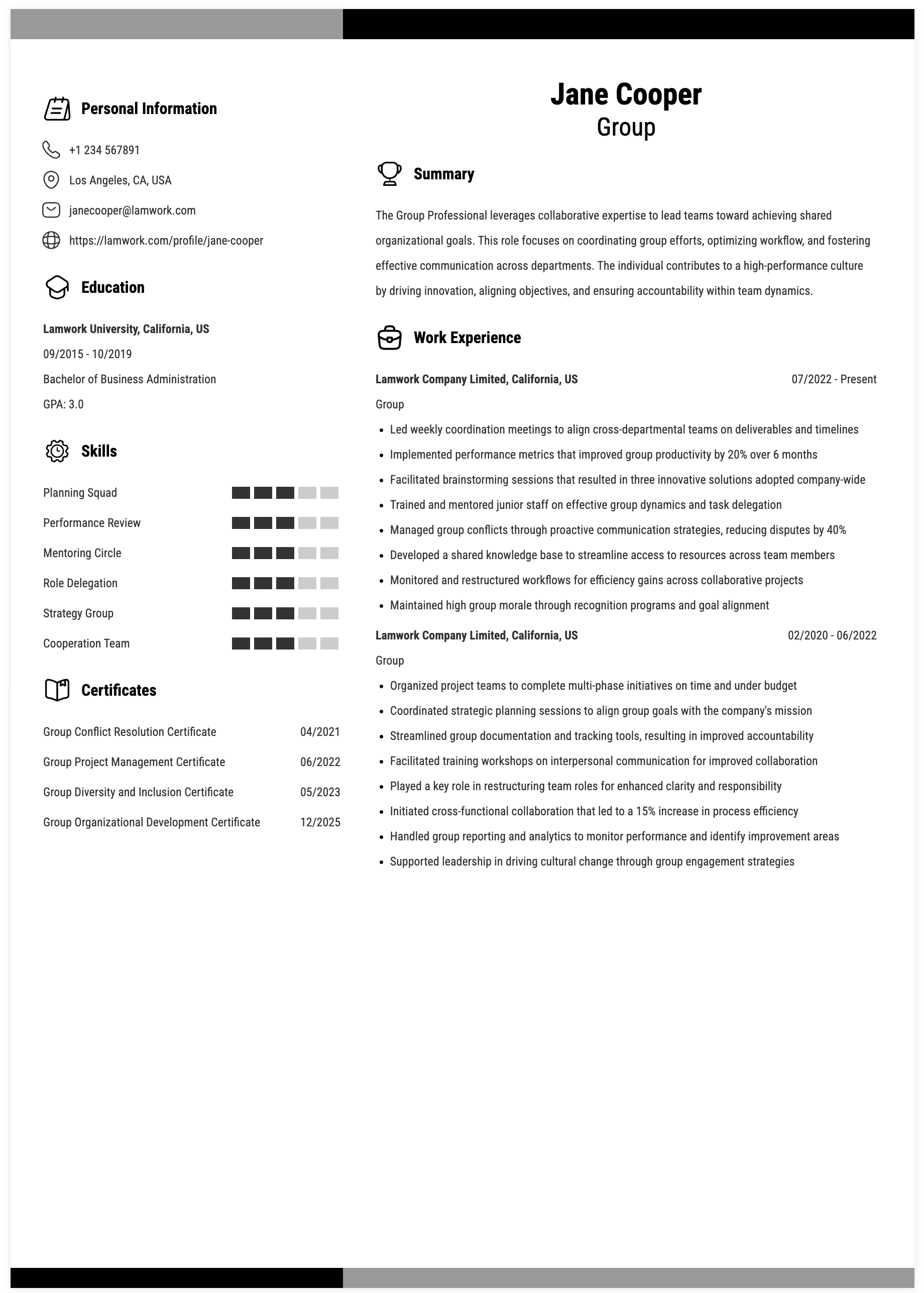 Group Resume Example