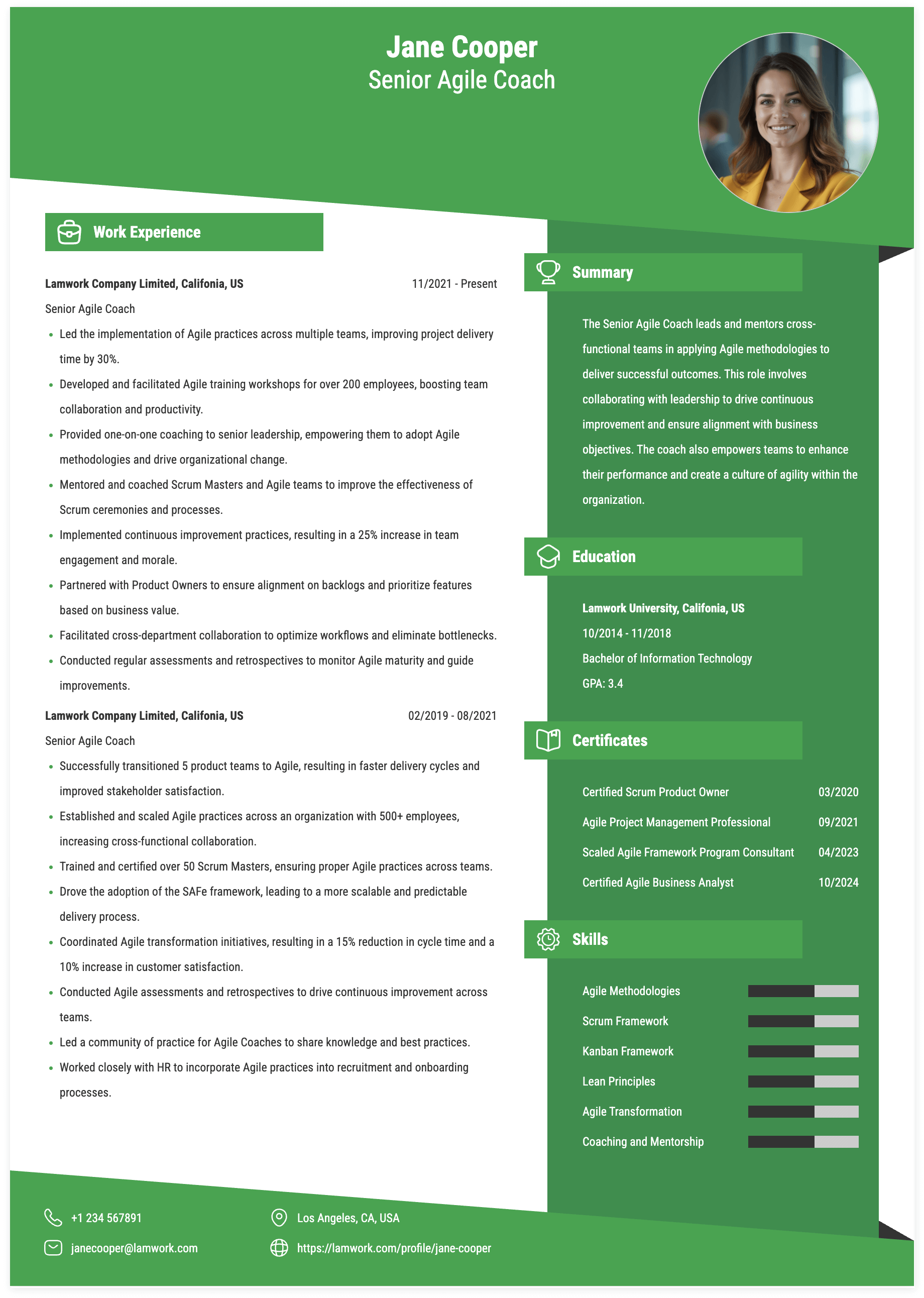 Senior Agile Coach Resume Example