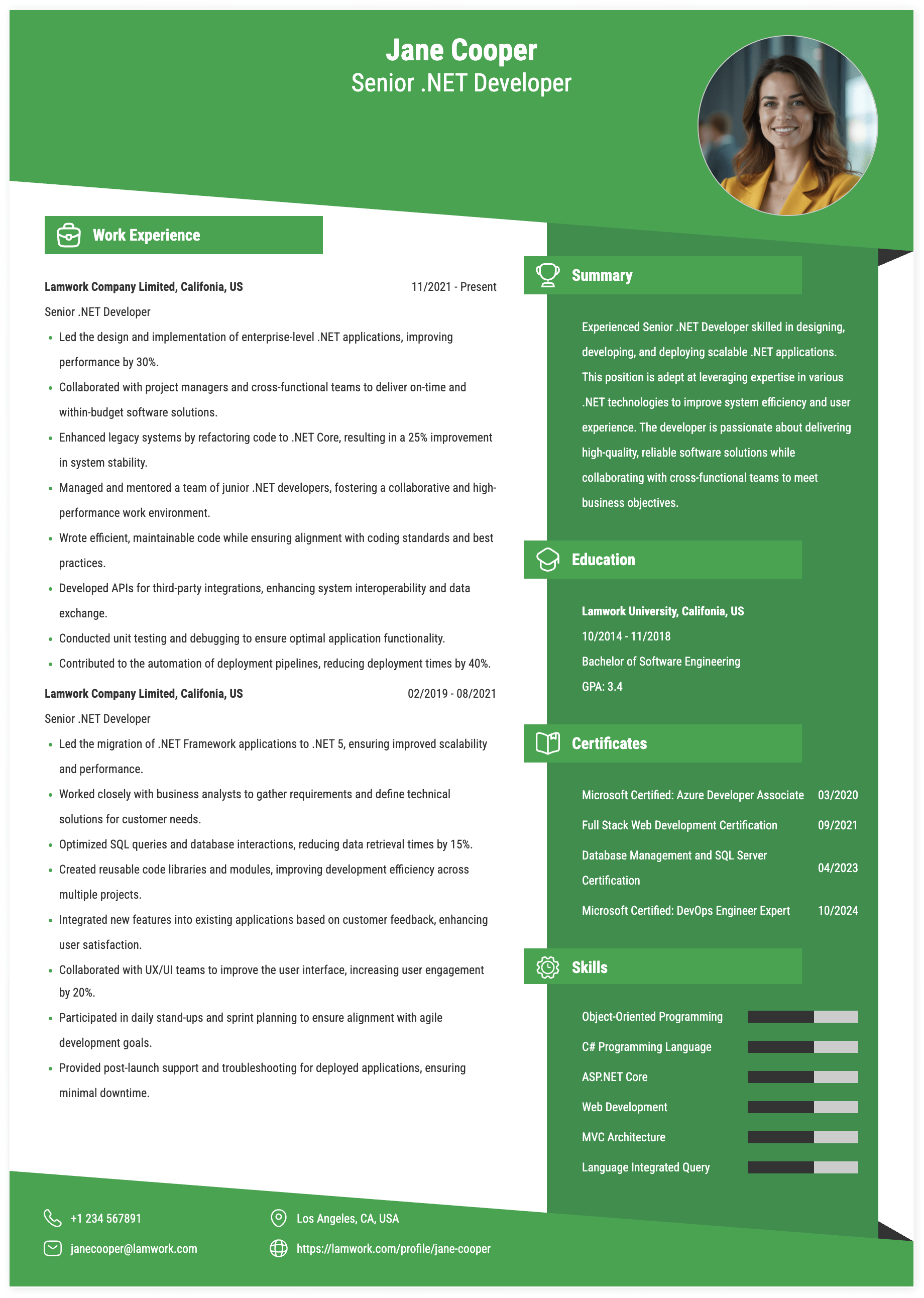 Senior .NET Developer Resume Example