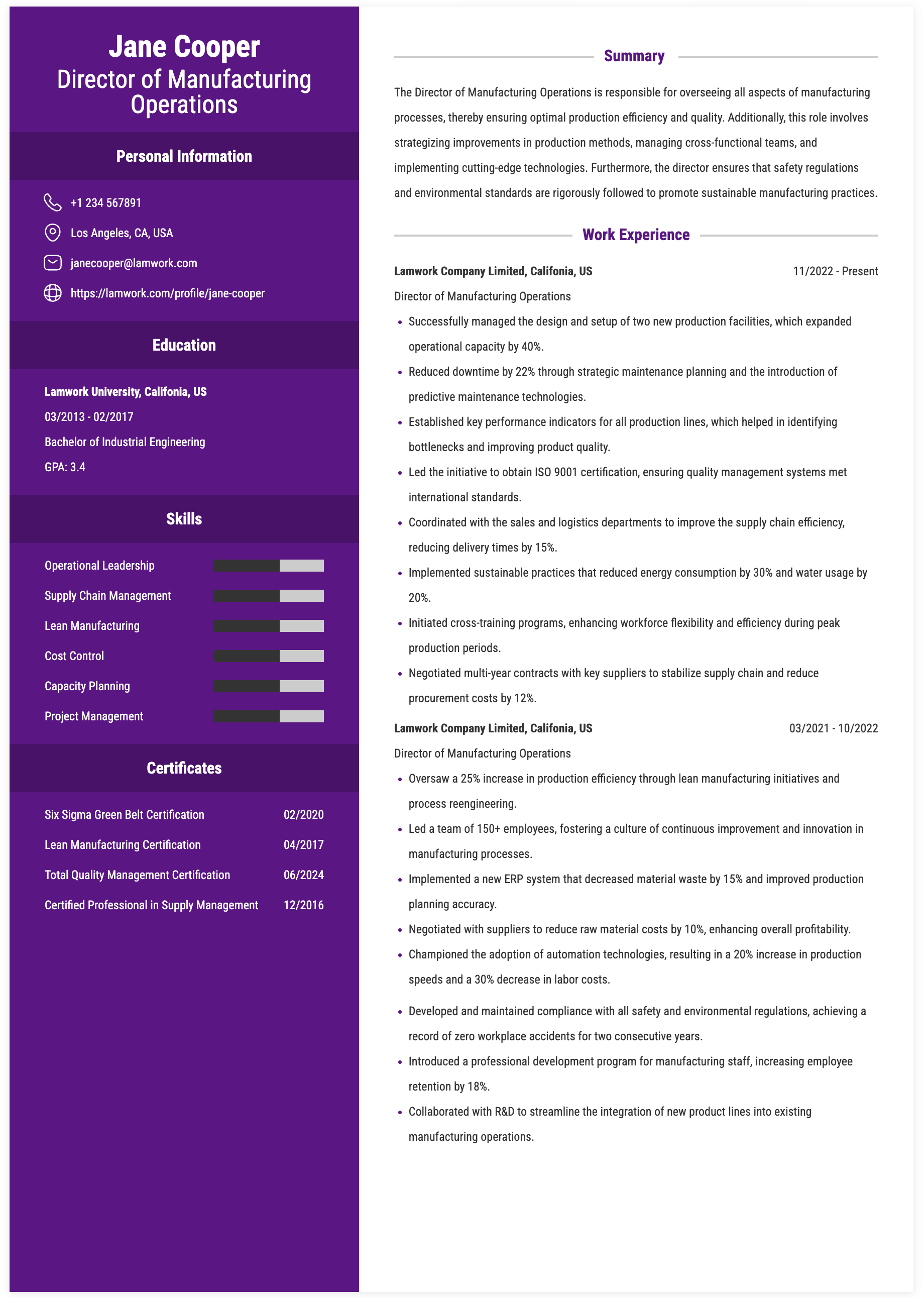 Director of Manufacturing Operations Resume Example