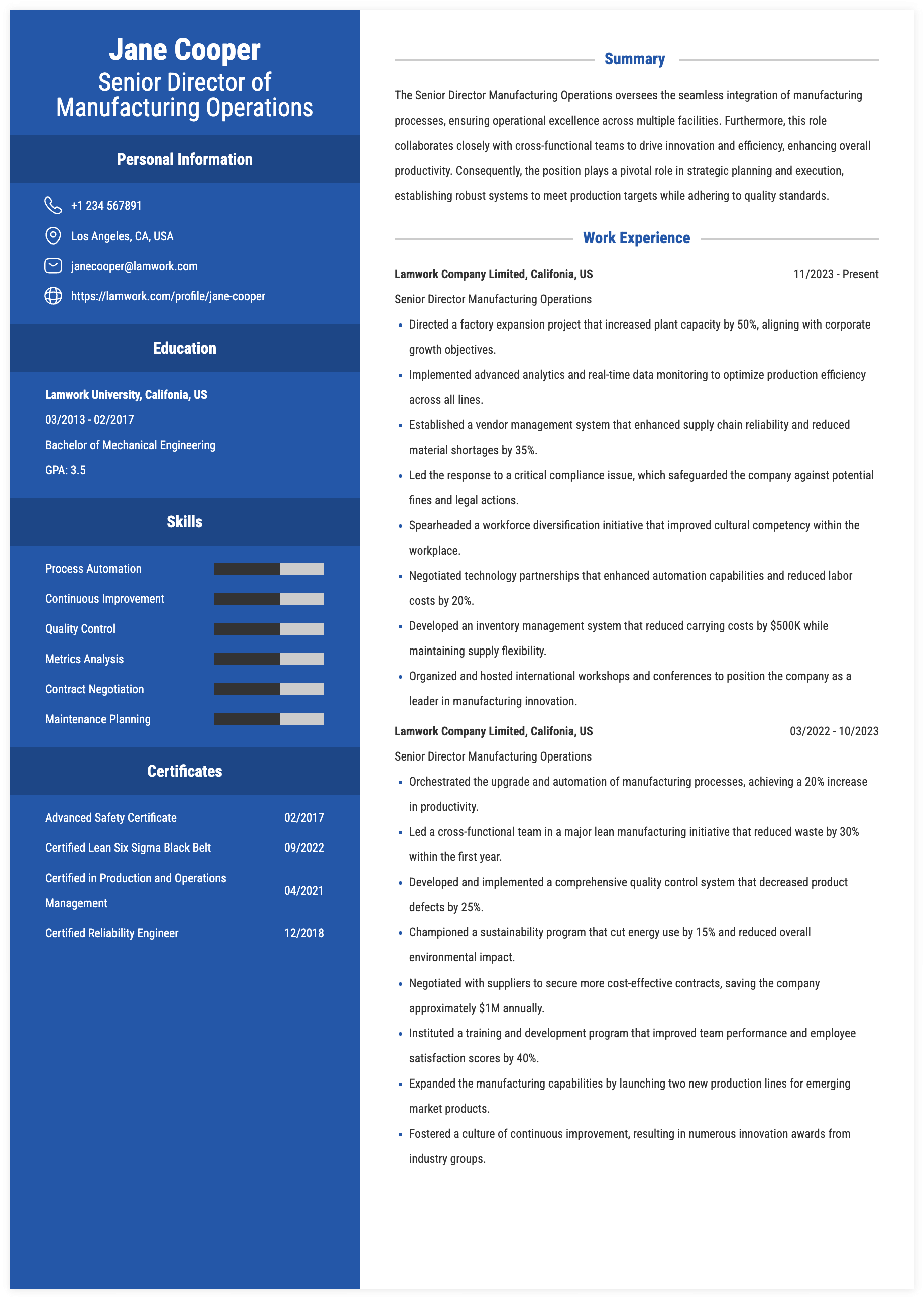 Senior Director of Manufacturing Operations Resume Example