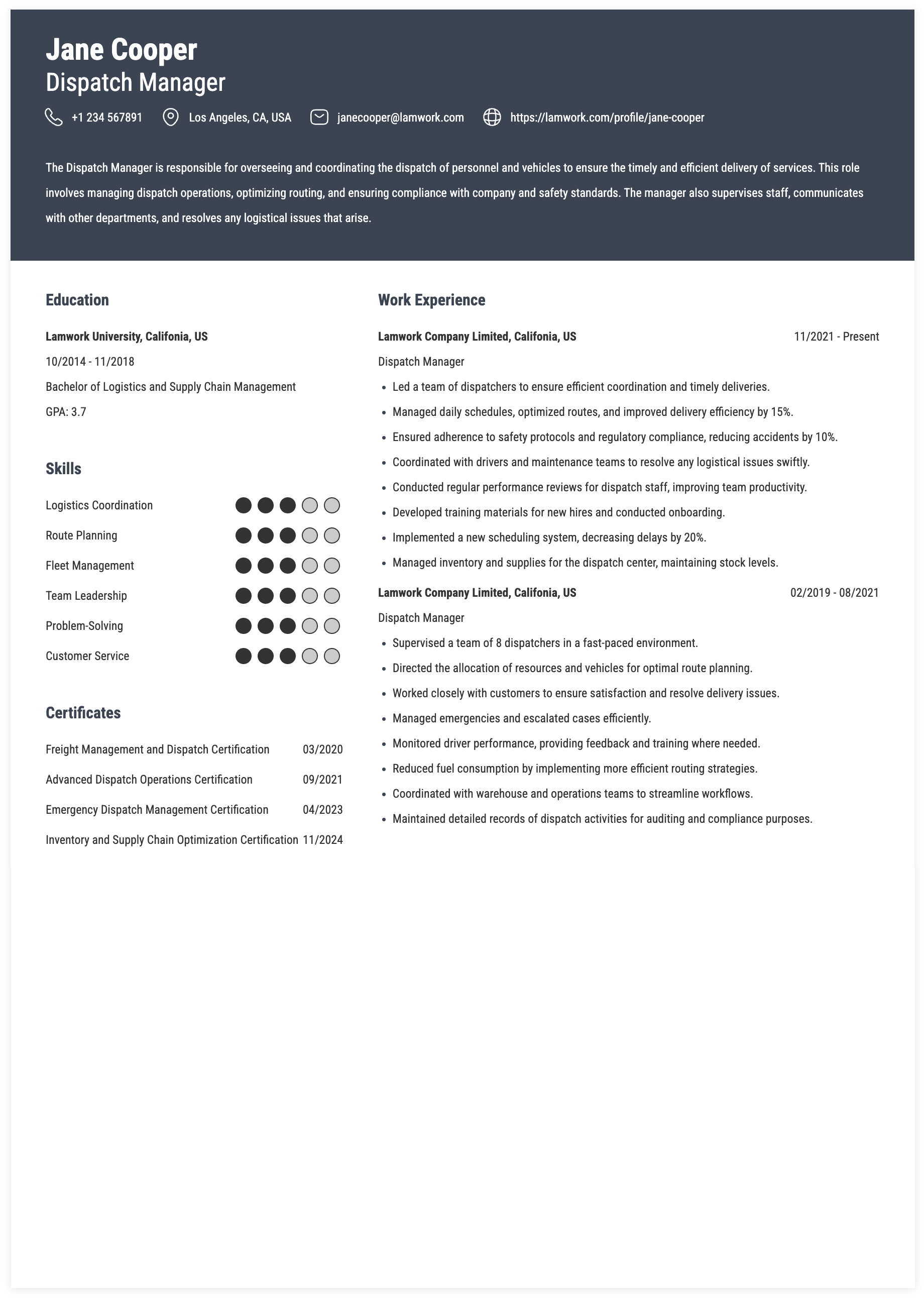 Dispatch Manager Resume Example