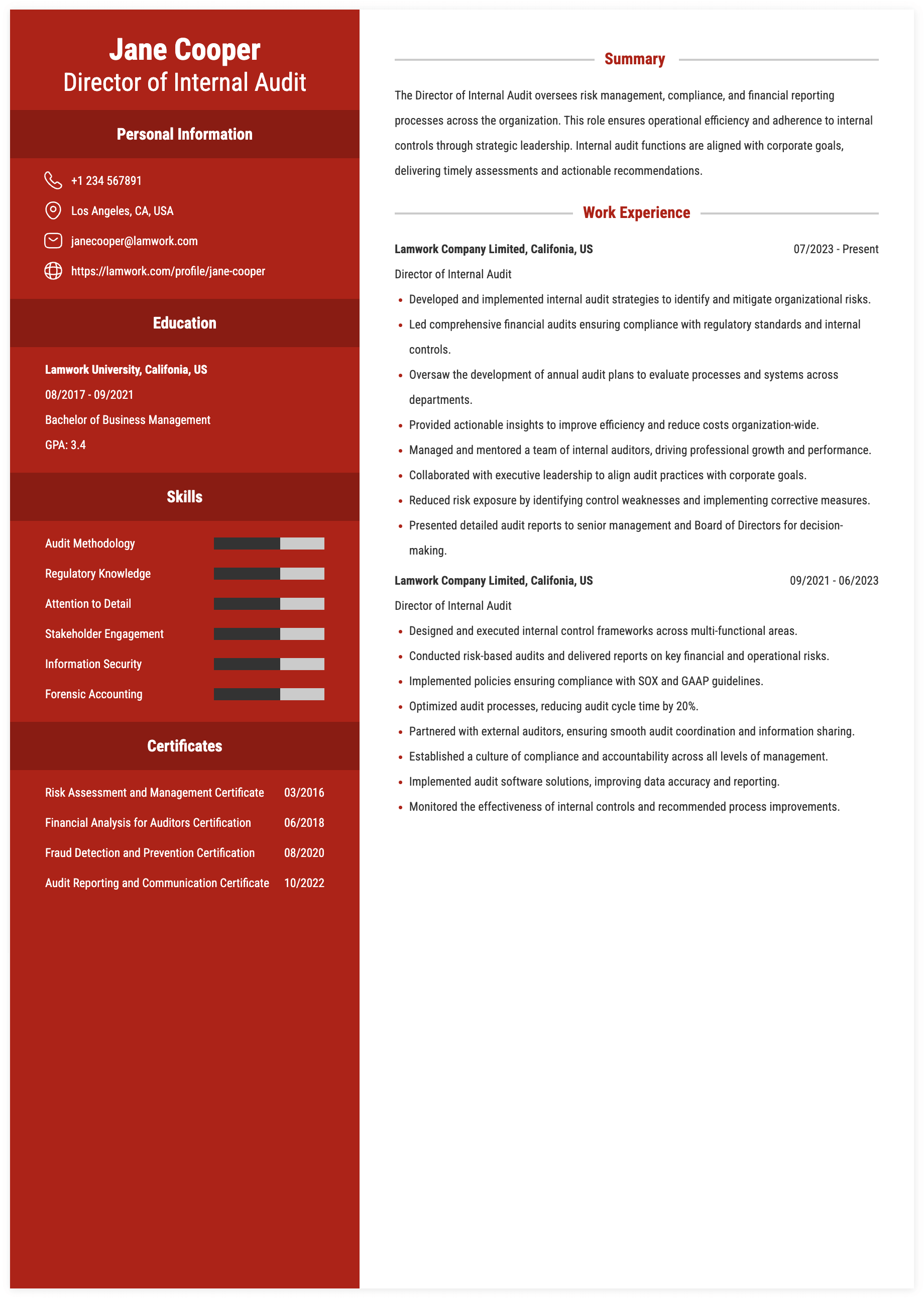 Director of Internal Audit Resume Example