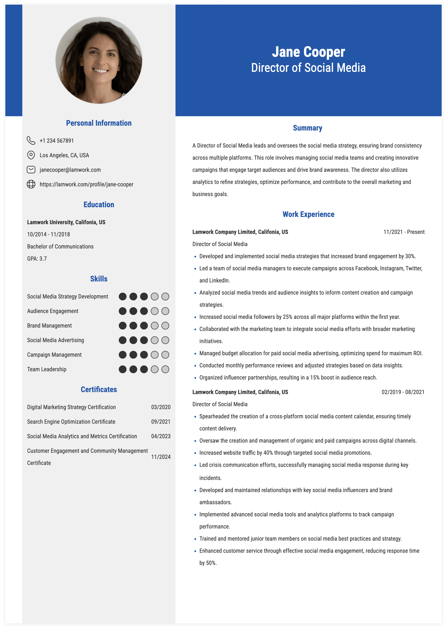 Director of Social Media Resume Example