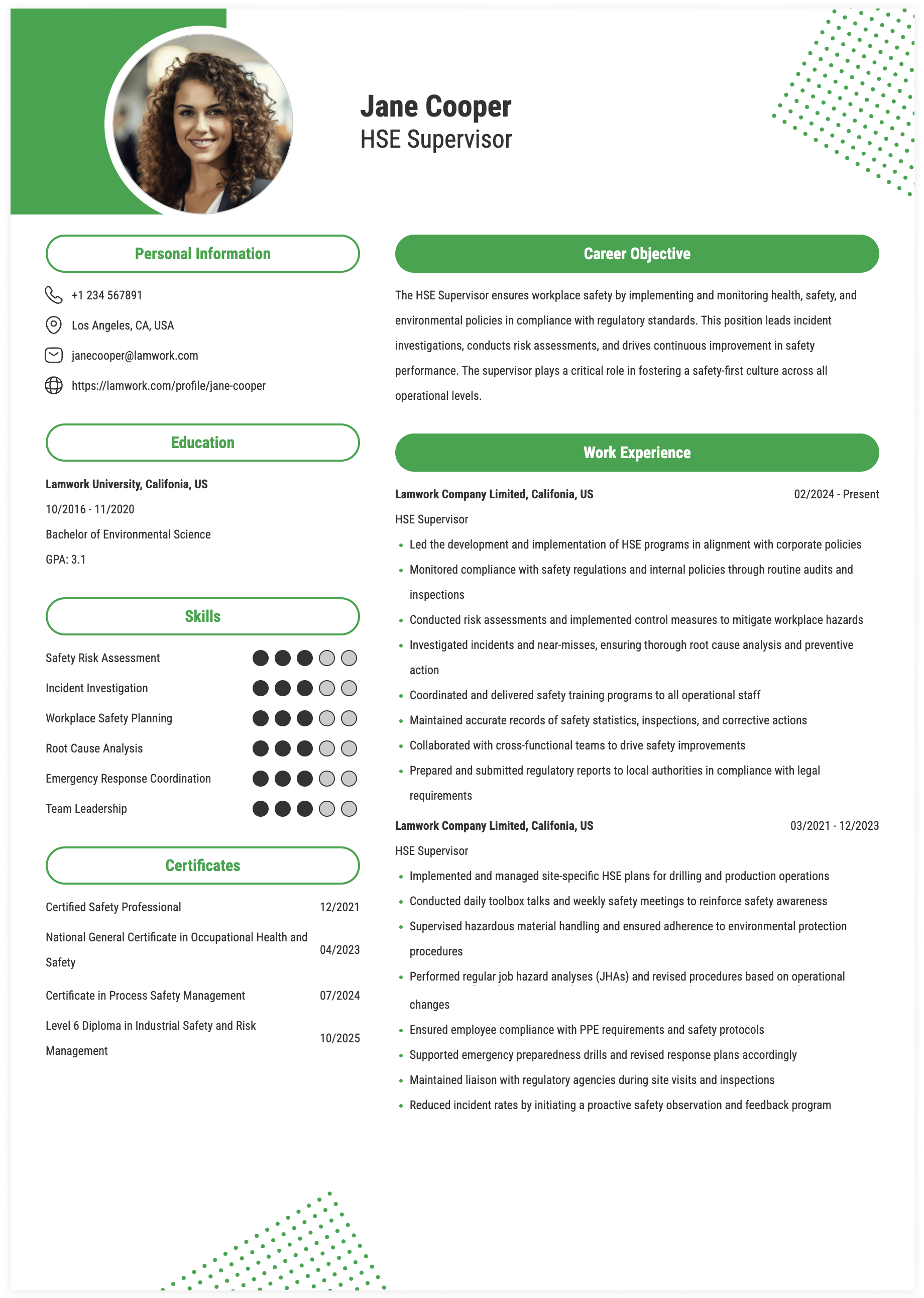 HSE Supervisor Resume Example