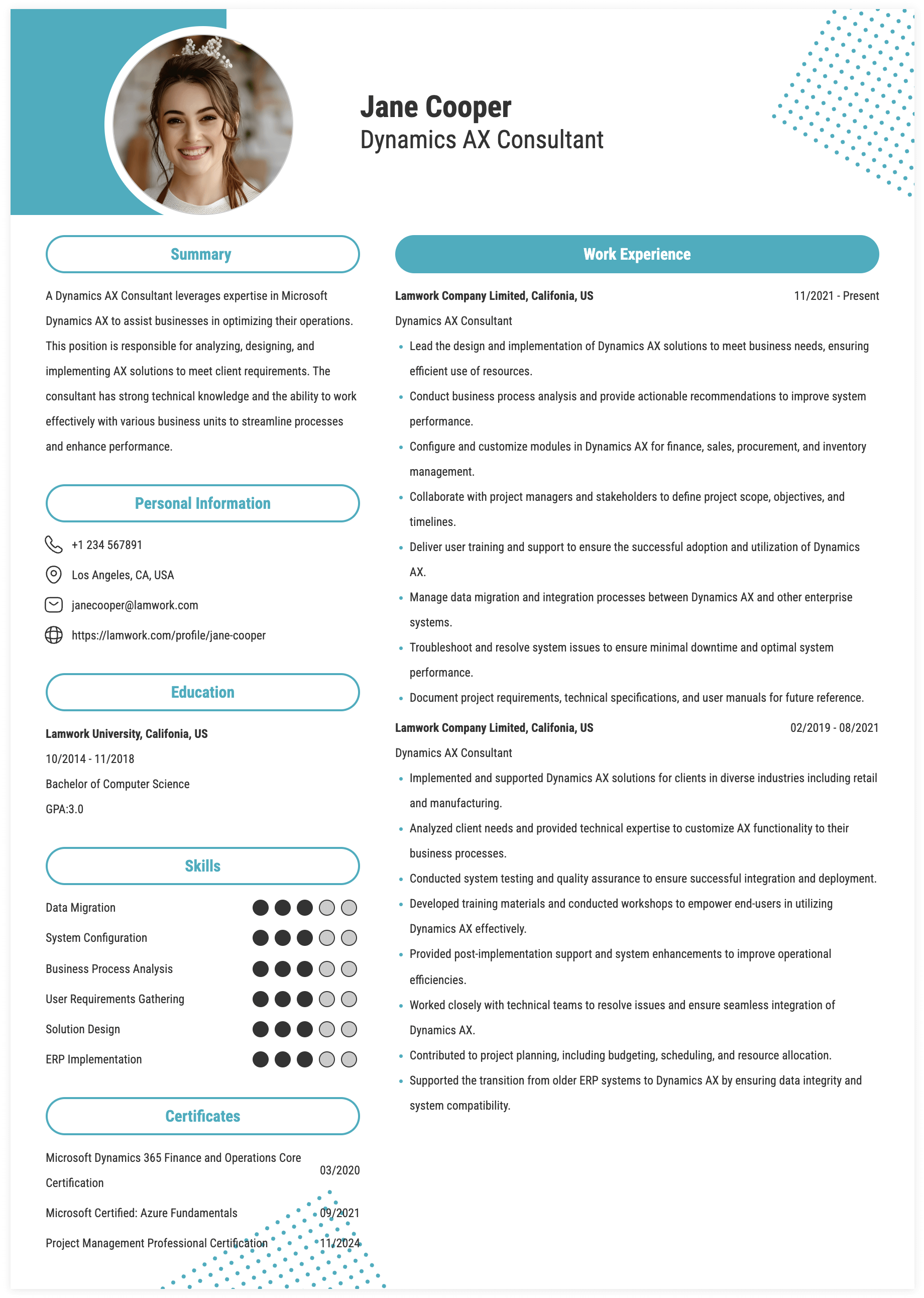 Dynamics AX Consultant Resume Example