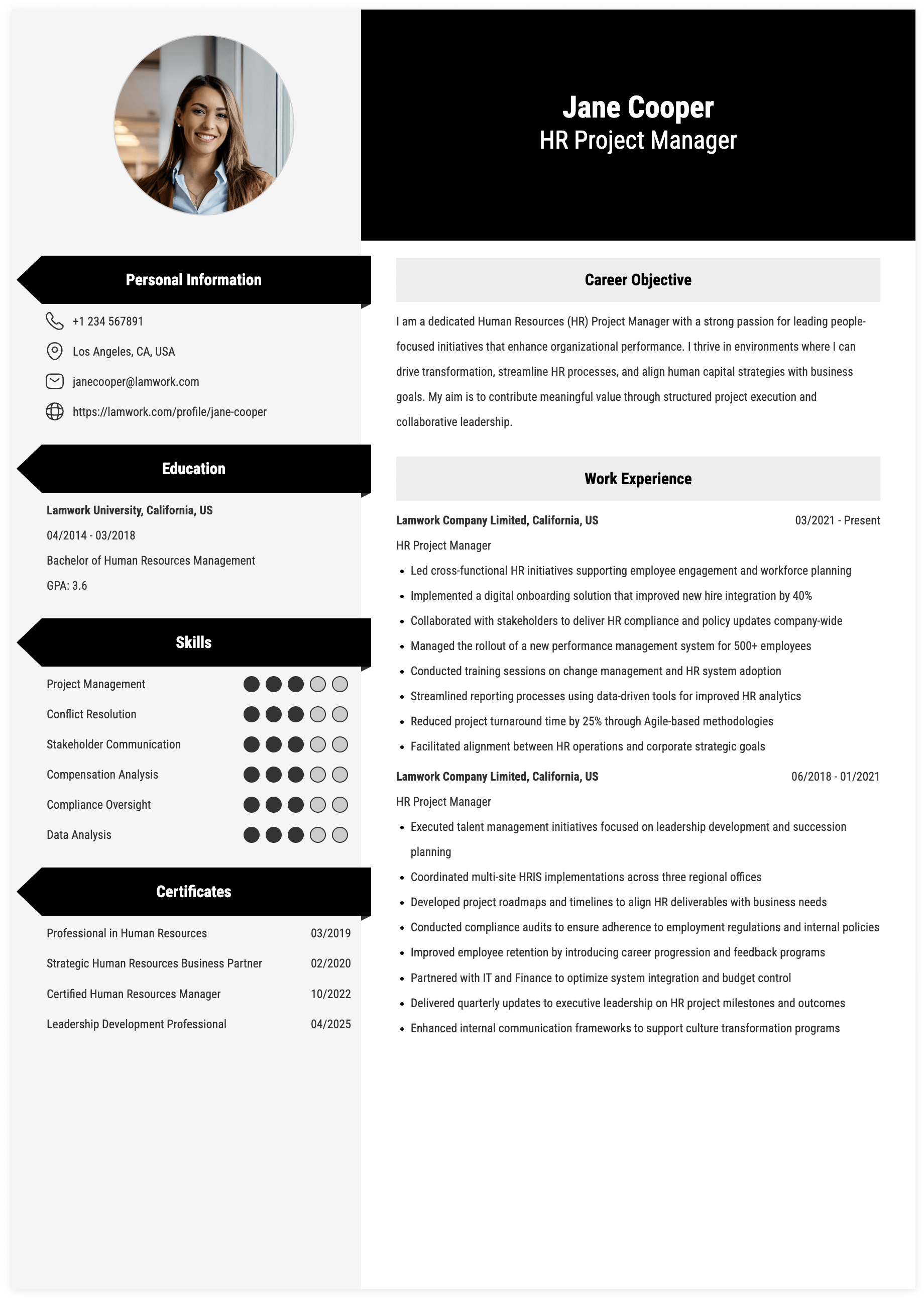 HR Project Manager Resume Example