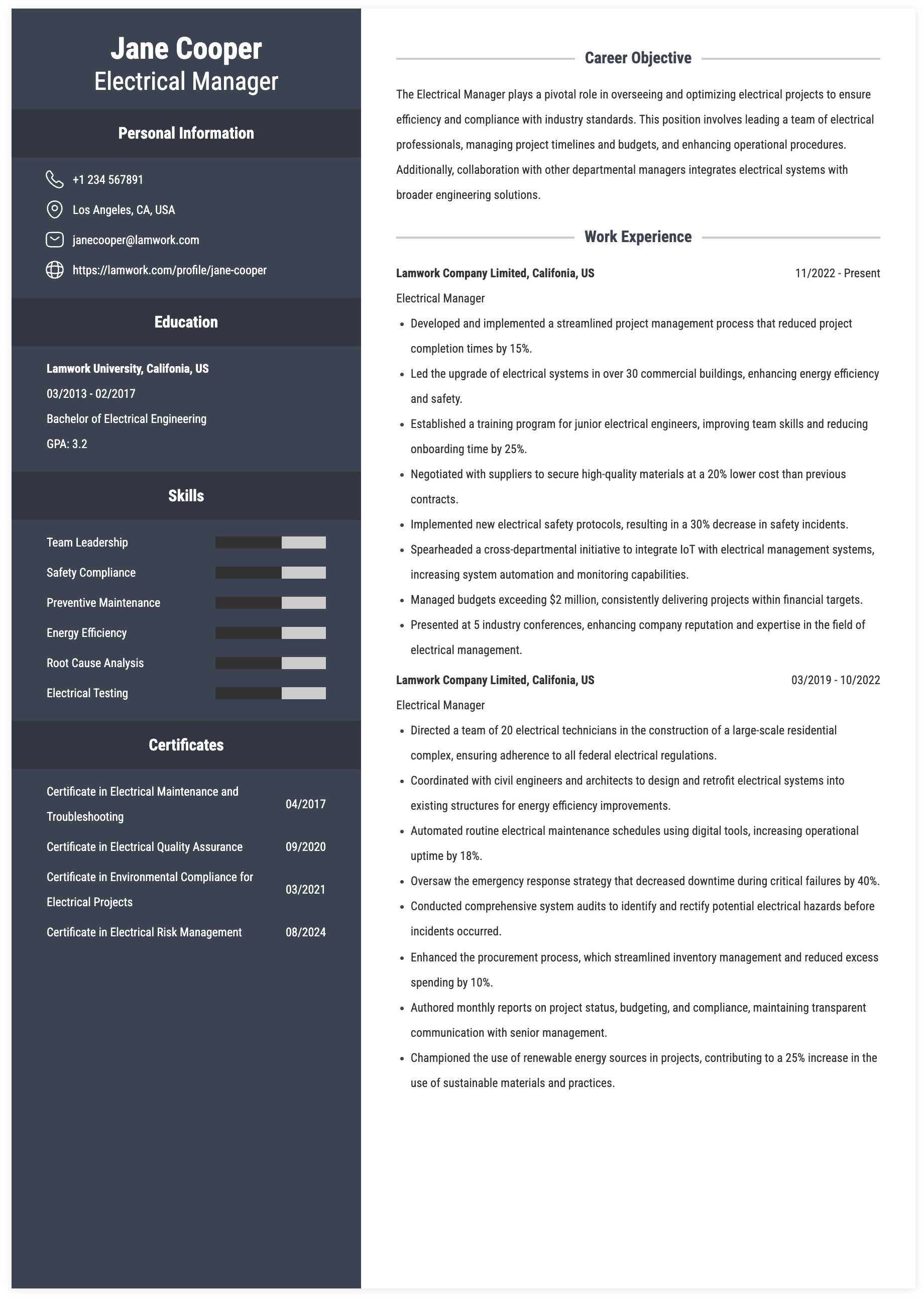 Electrical Manager Resume Example