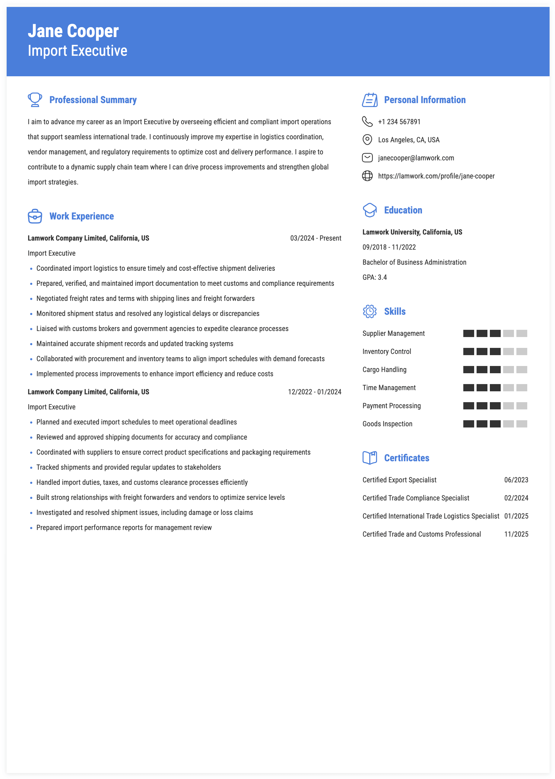 Import Executive Resume Example