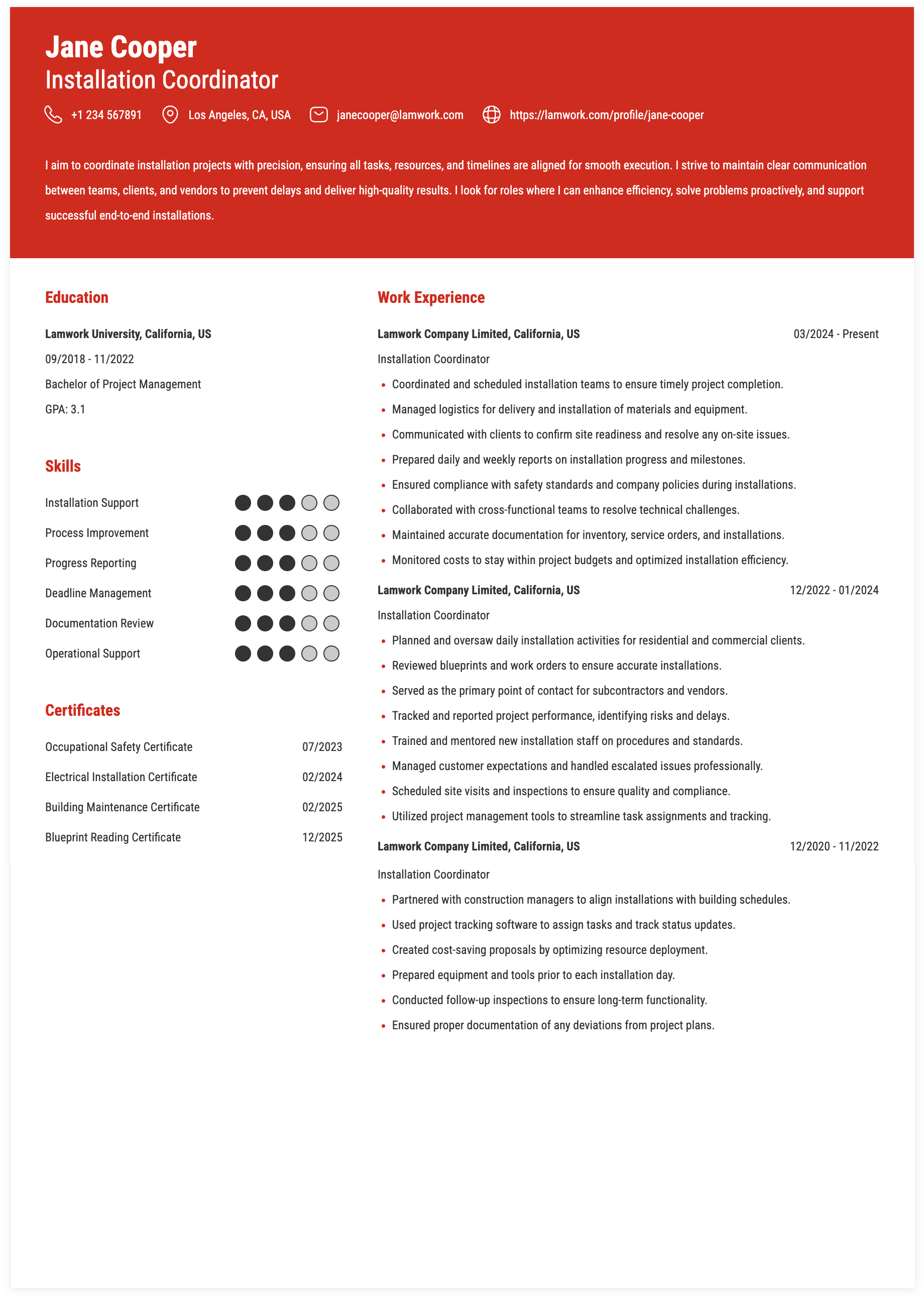 Installation Coordinator Resume Example