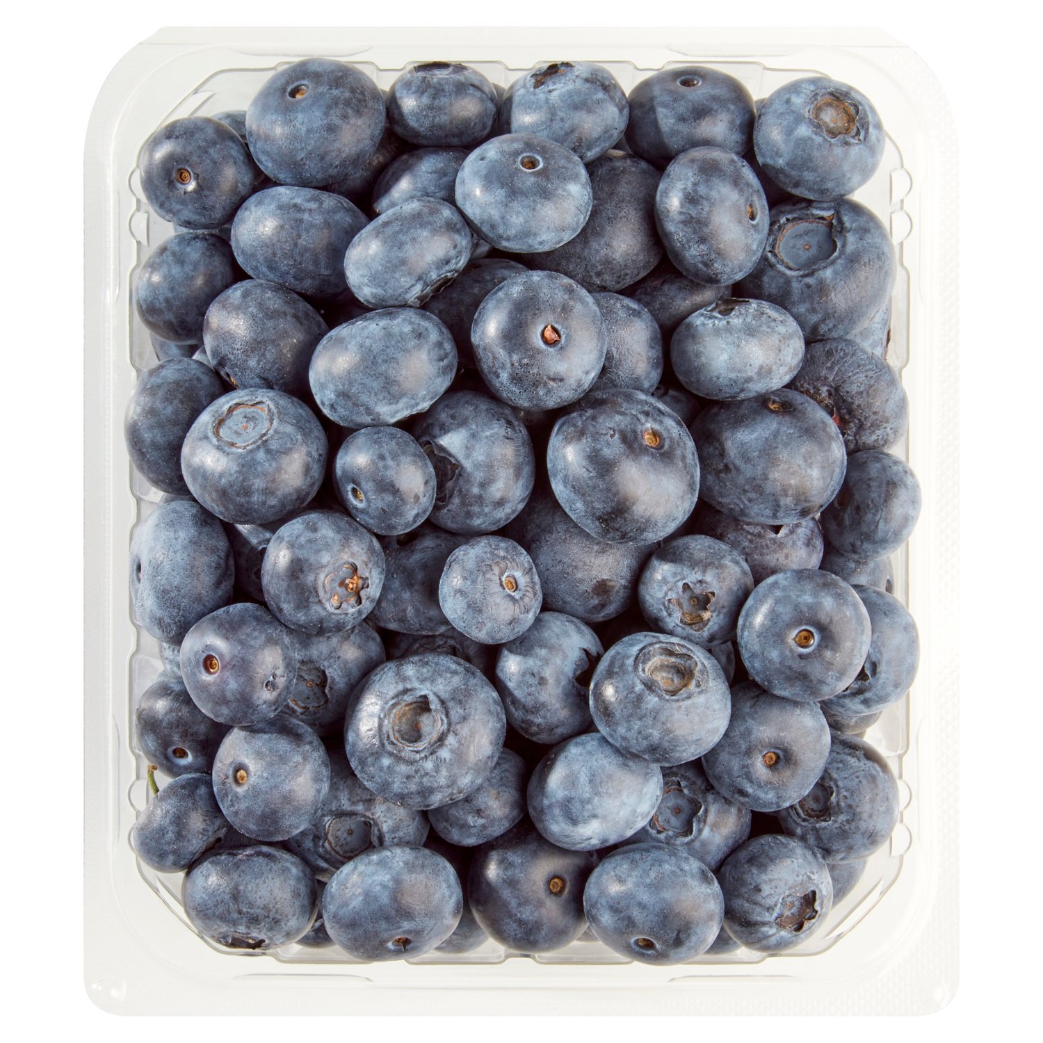 Blueberries , 1 pint - Gourmet