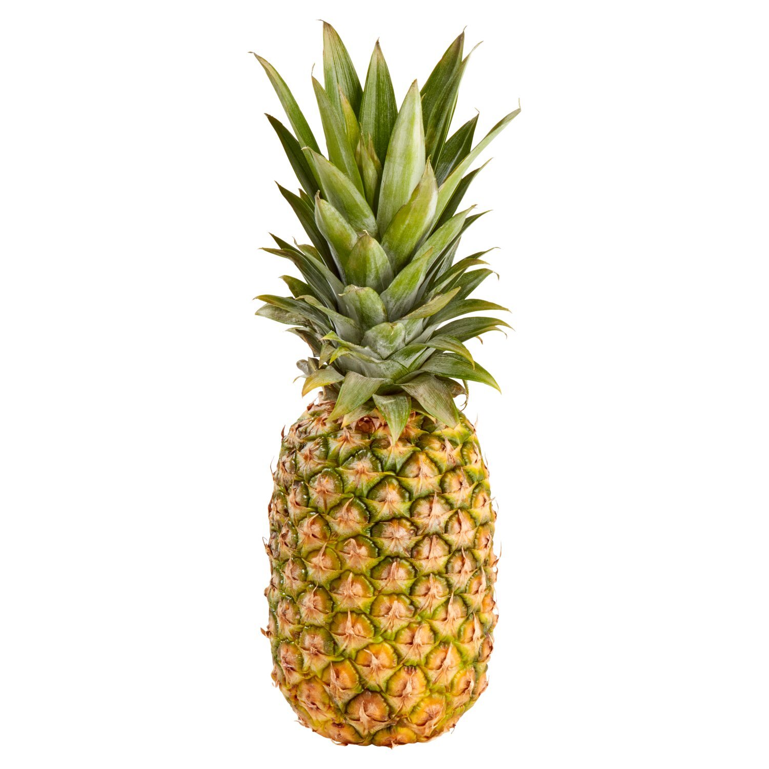 Pineapple Large, 1 each - Price Rite