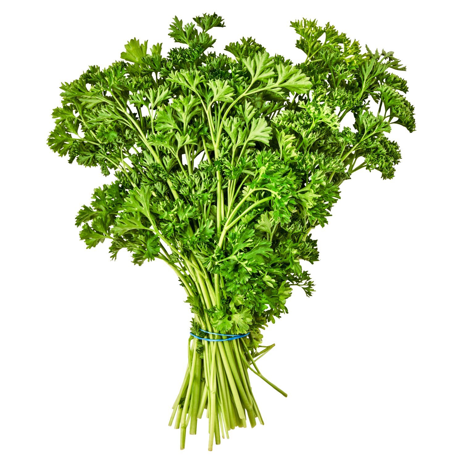 Curly Parsley, 1 bunch, 1 each - ShopRite