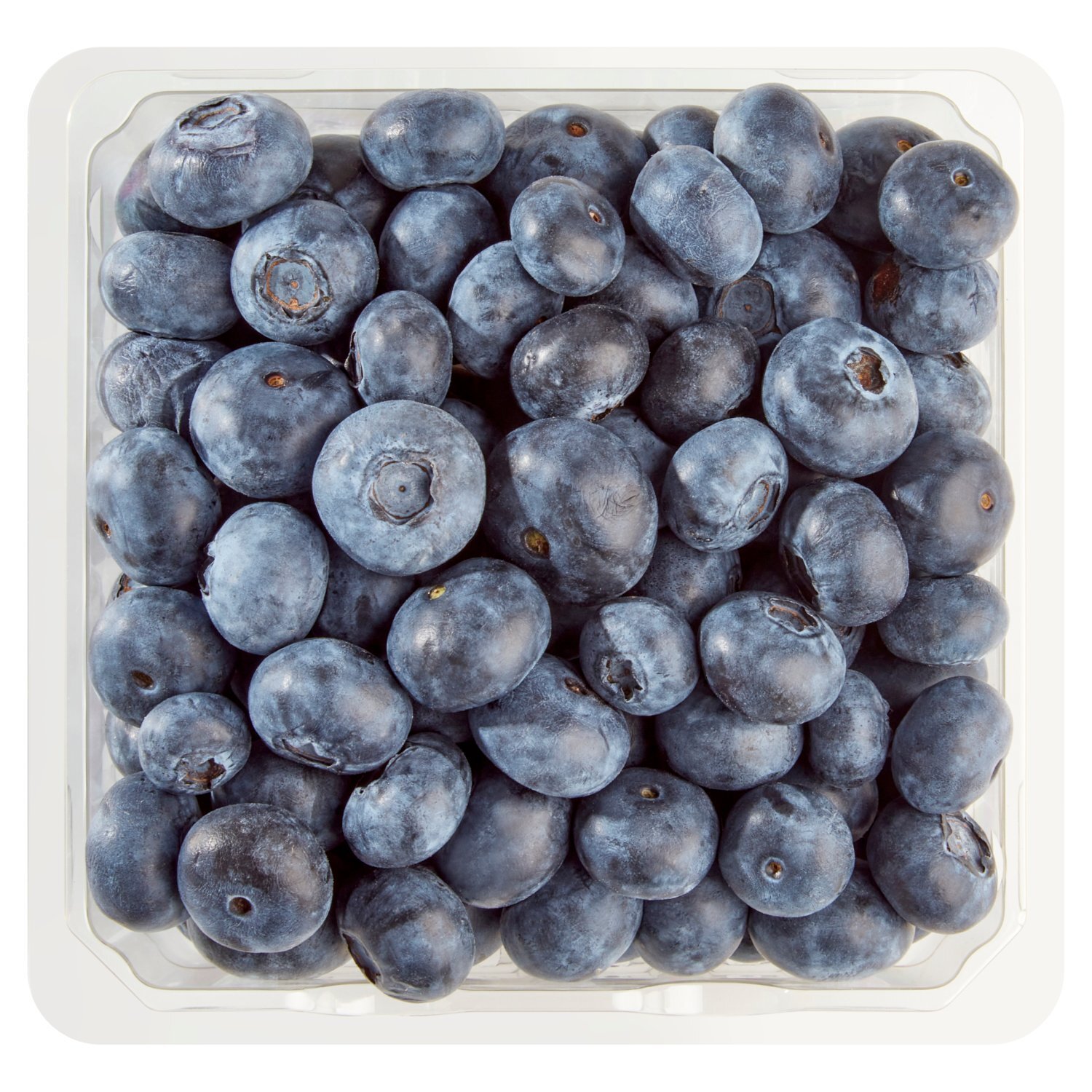 Fresh Blueberries, 6 oz - ShopRite