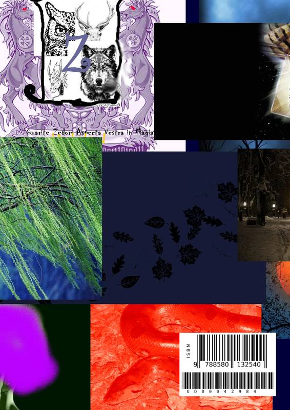 Zee Griston and the Armageddon Eyes ⋆ Loja Uiclap