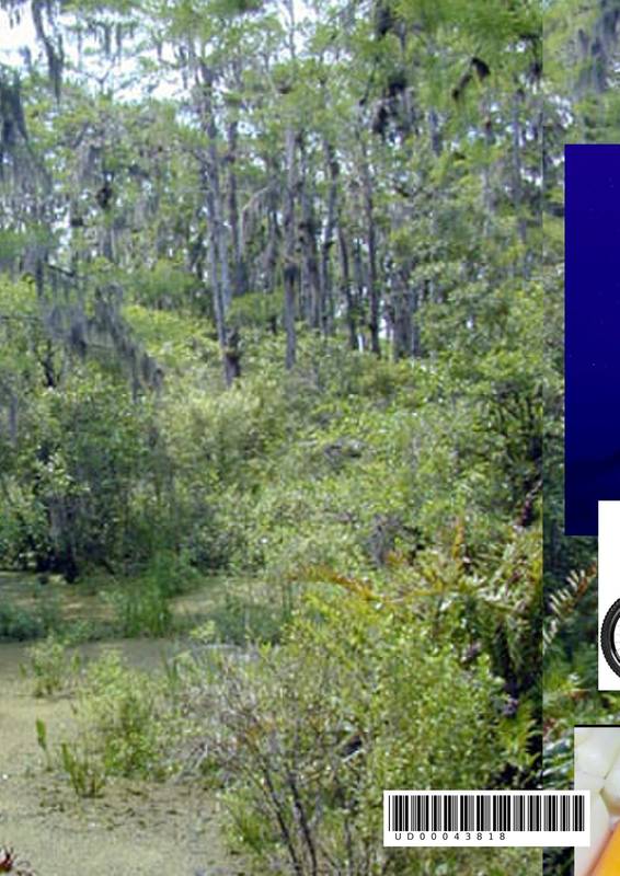 Zee Griston and Armageddon Eyes ⋆ Loja Uiclap