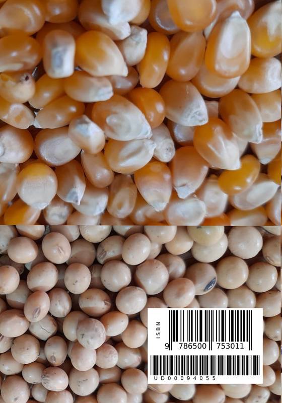 DEN'S ⋆ Loja Uiclap