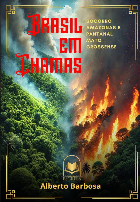 Brasil em chamas ⋆ Loja Uiclap