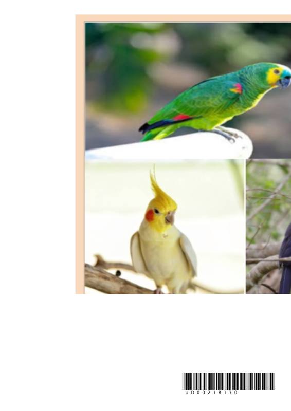 As Fábulas II ⋆ Loja Uiclap