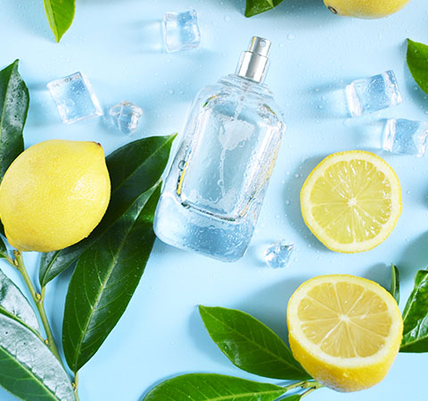 Shop From a Range of Best Fragrances Online At Best Prices | SSBeauty