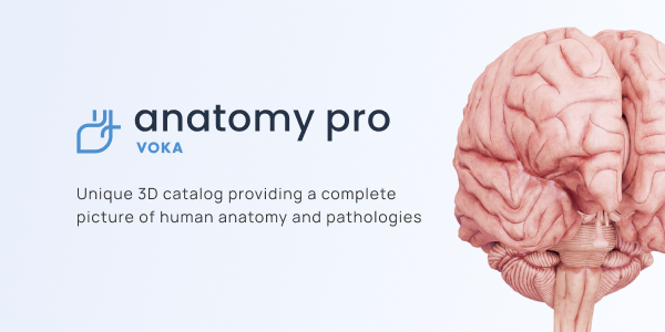 Атлас человеческой анатомии в 3D | VOKA