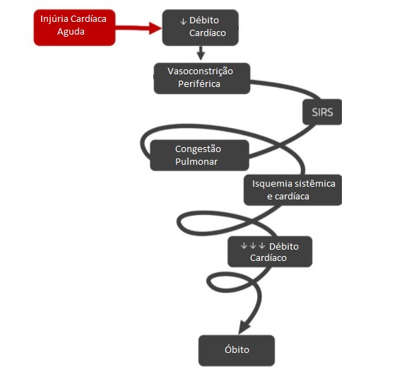 Choque cardiogênico: tudo que você precisa saber - Medway
