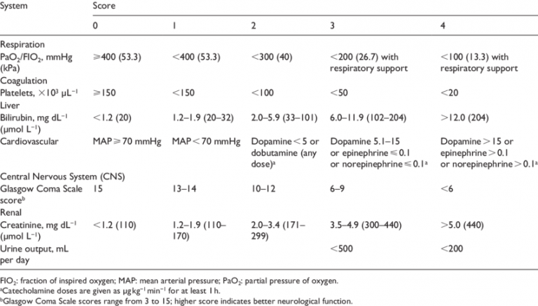 Escore SOFA: o que é e como é utilizado no contexto da sepse? - Medway
